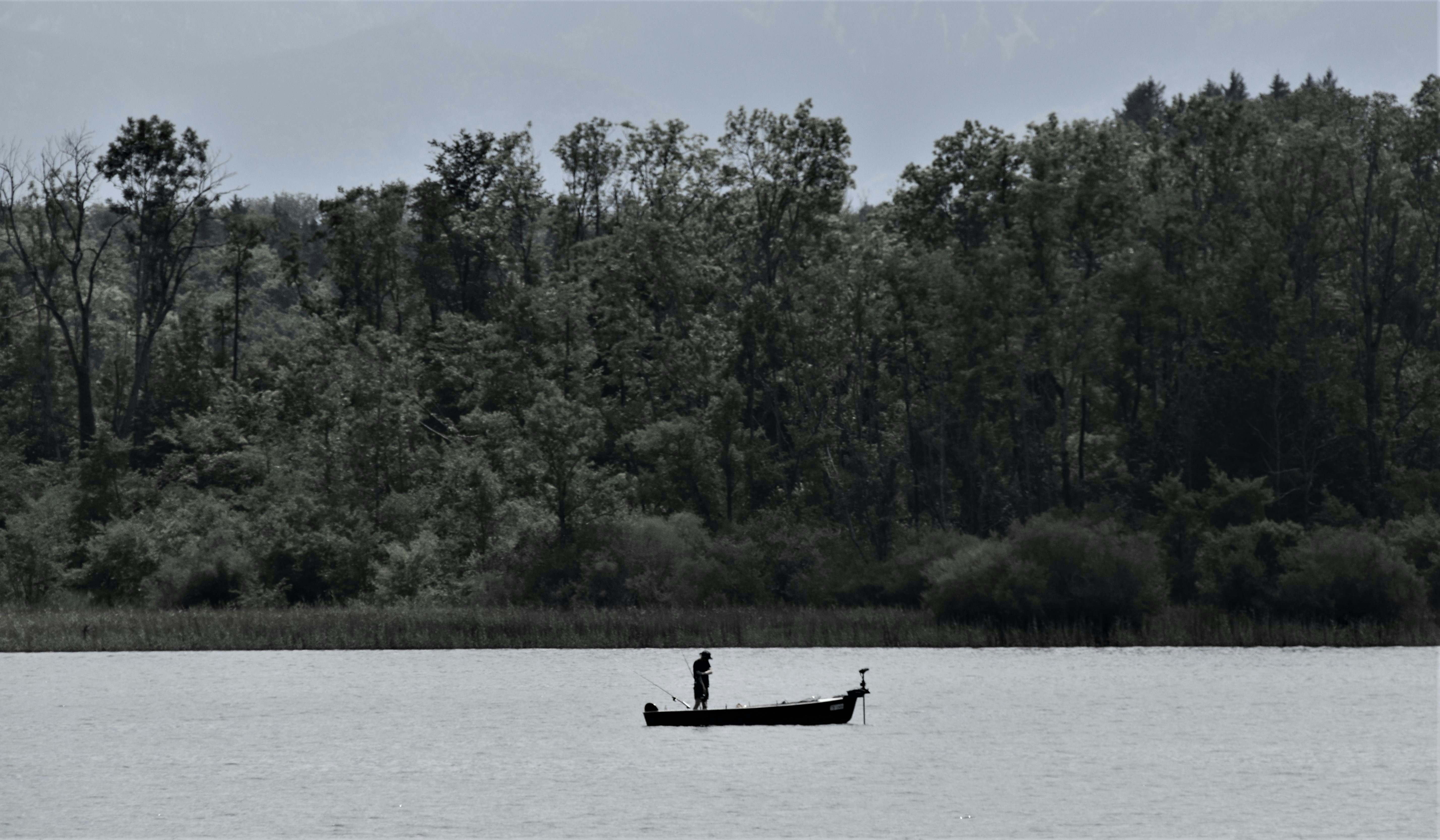 A lone fisherman stands in a small boat, casting a line into a serene lake surrounded by dense foliage. The scene evokes a sense of solitude and connection with nature.