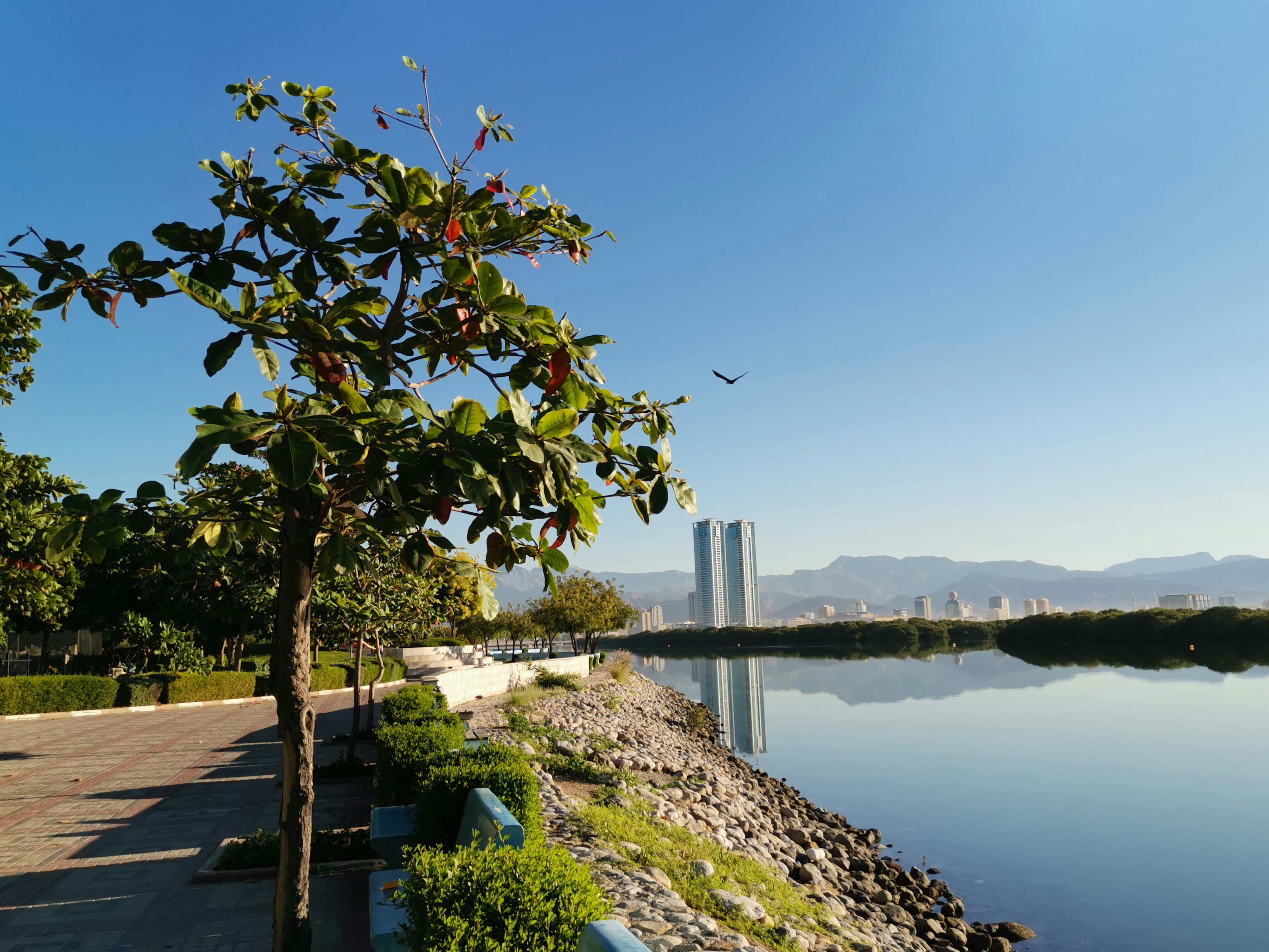 George Heusner (@ghe_rak) | Komunitas Foto Unsplash