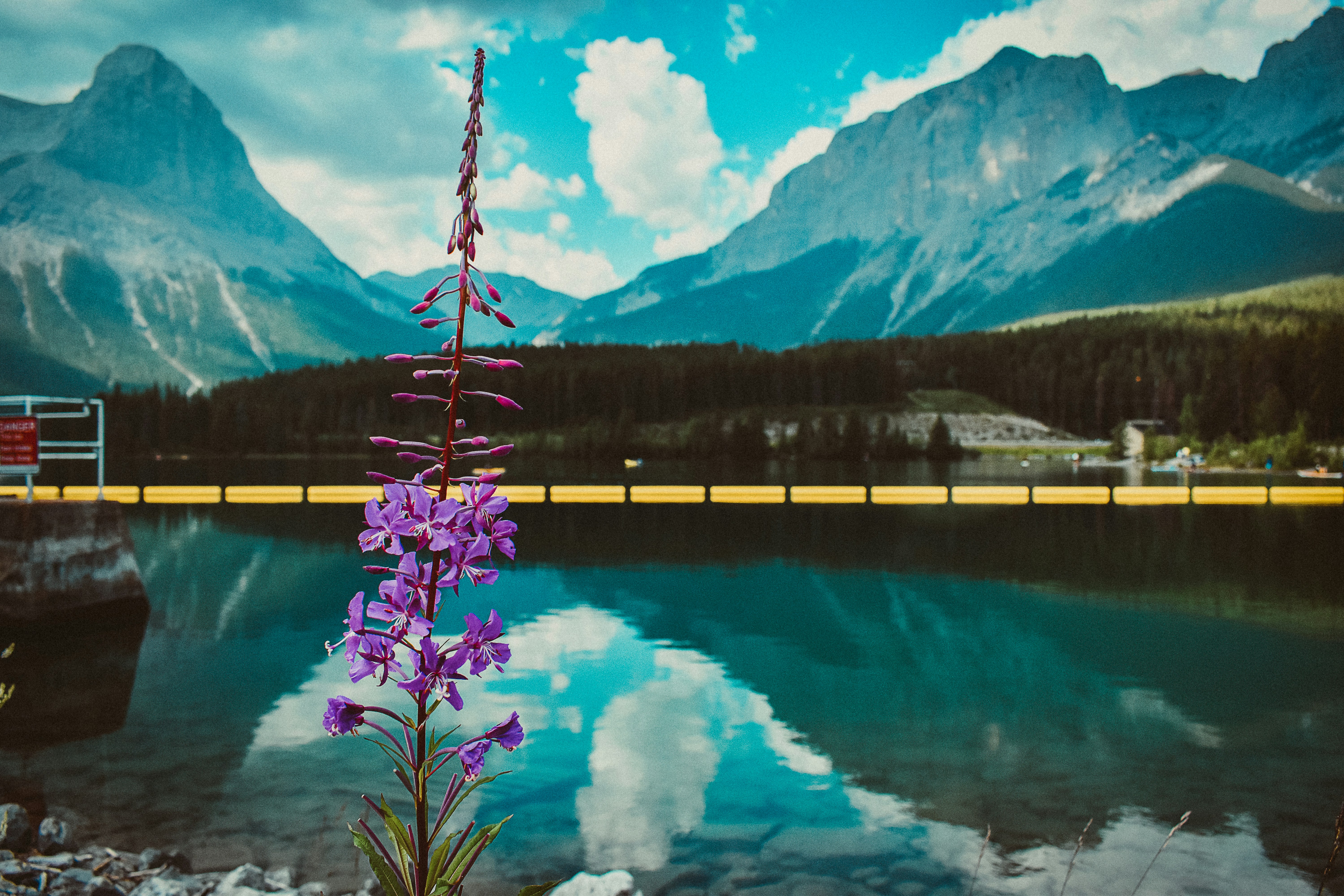 Cameron Bunney (@bdbillustrations) | Komunitas Foto Unsplash