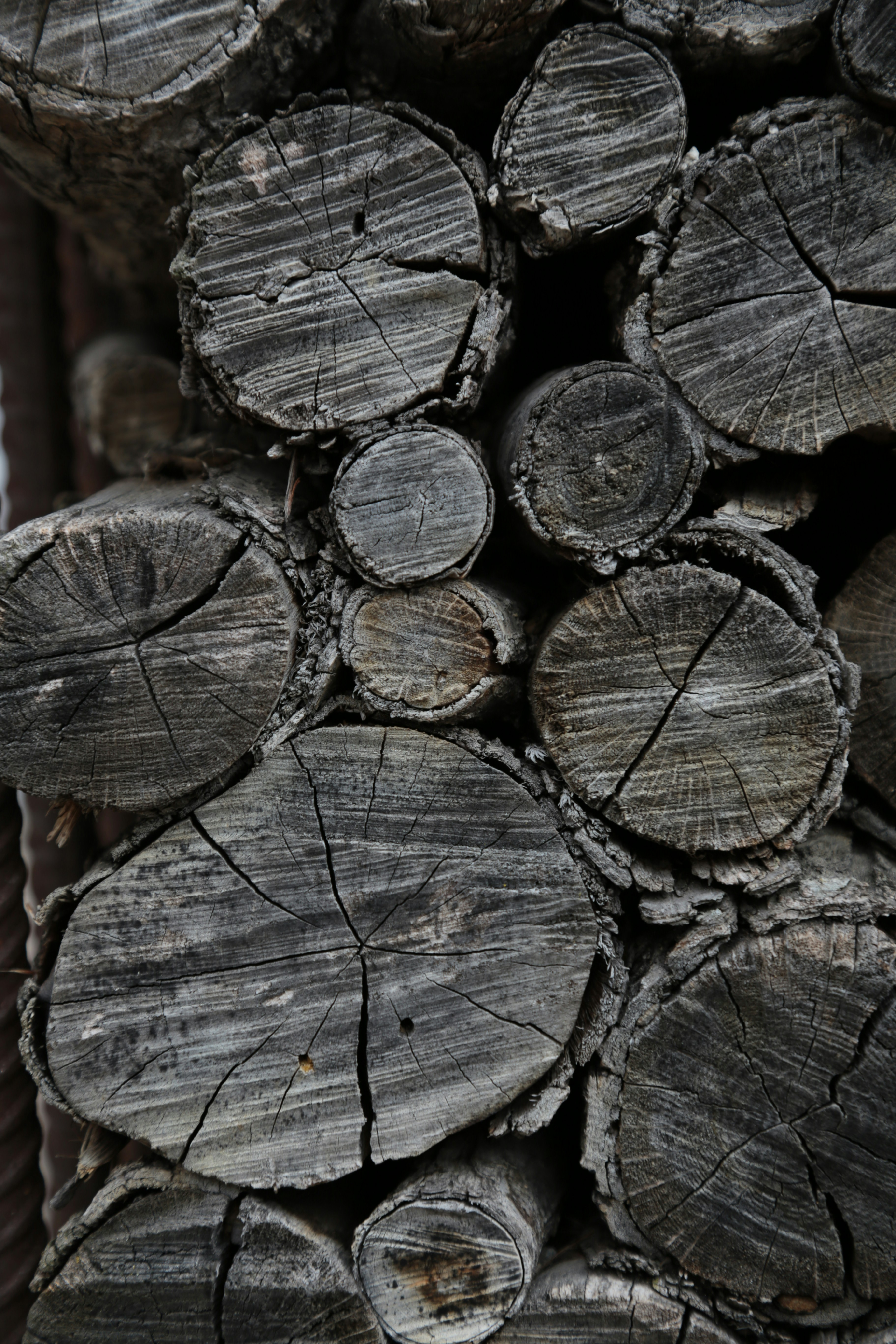 Close-up of various logs stacked together, showcasing natural textures and patterns in the wood grain. The arrangement highlights the organic shapes and imperfections of each piece.