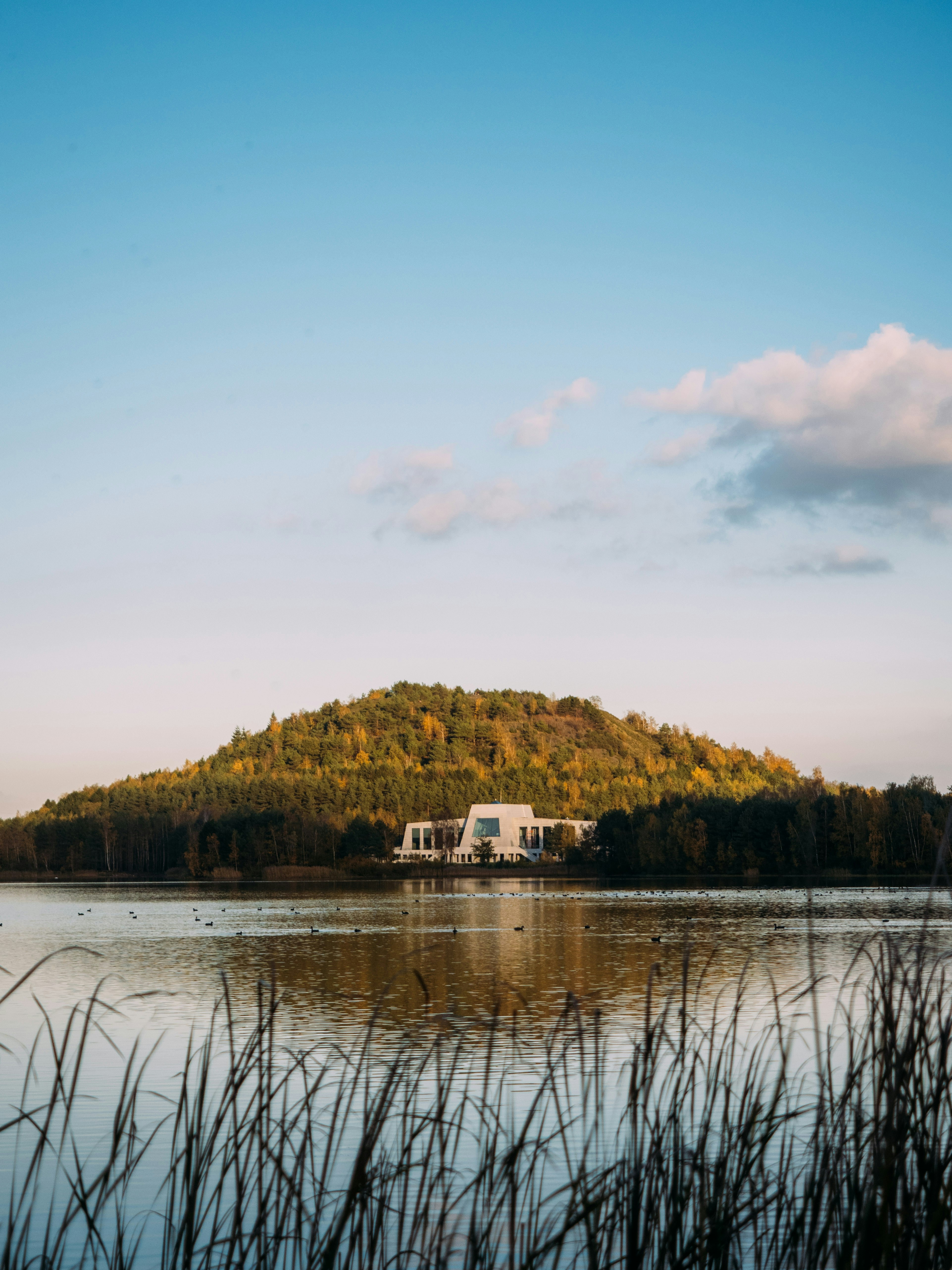 white boat on lake near green trees during daytime