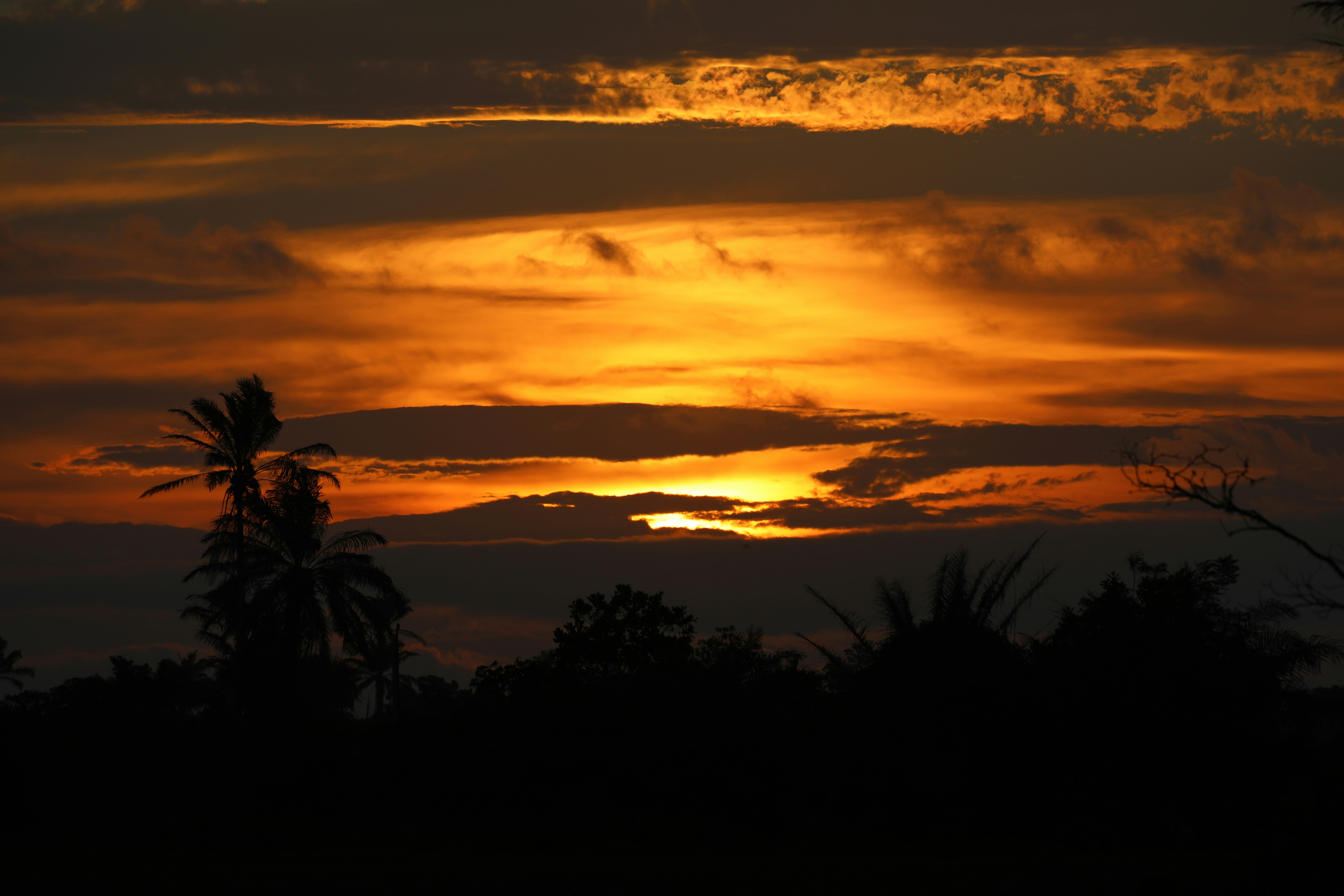 Vibrant sunset casting golden hues across the sky, silhouetting palm trees against the horizon. The tranquil scene captures the essence of twilight.