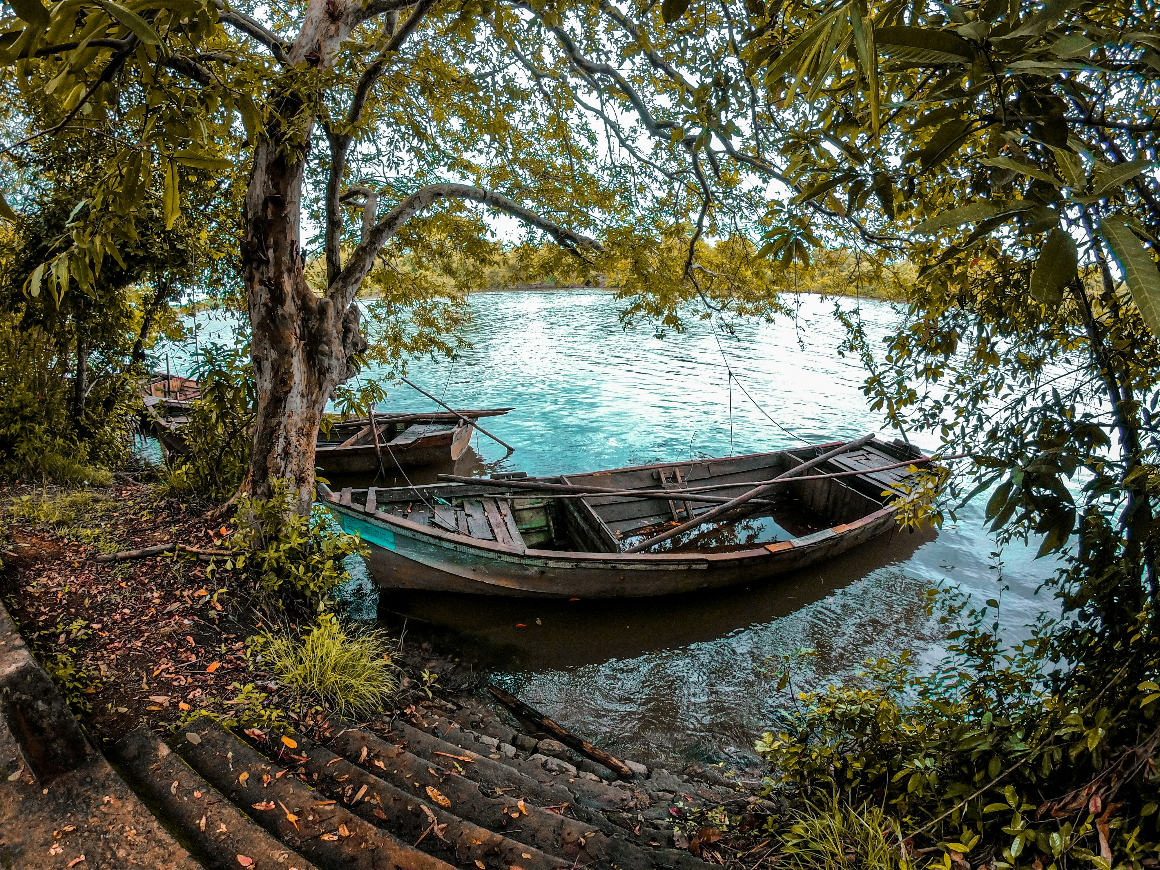 Weathered boat along a turquoise riverbank, framed by overhanging branches and sun-dappled water.