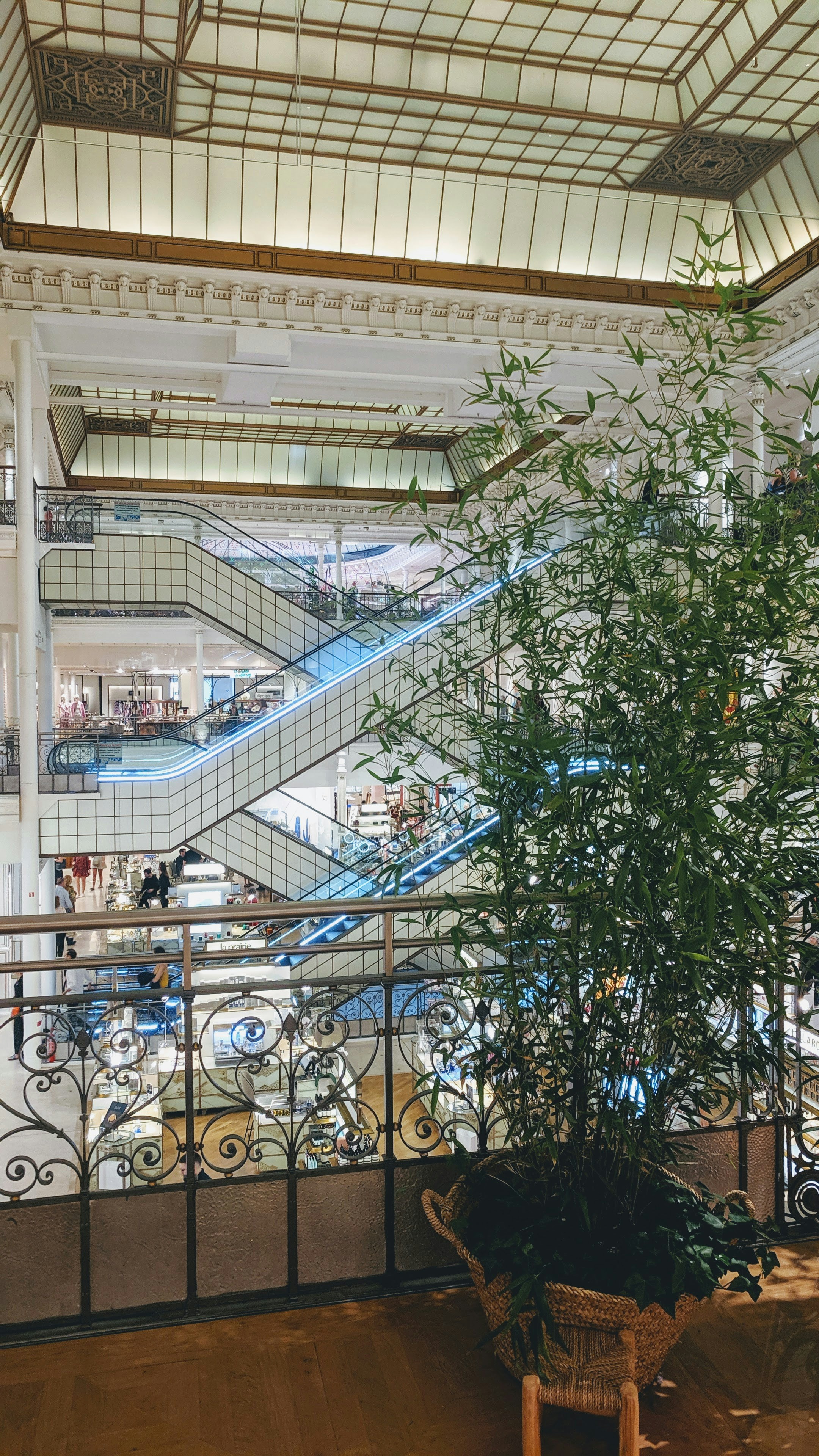 Indoor shopping mall featuring elegant escalators and lush greenery, showcasing a blend of contemporary design and natural elements.