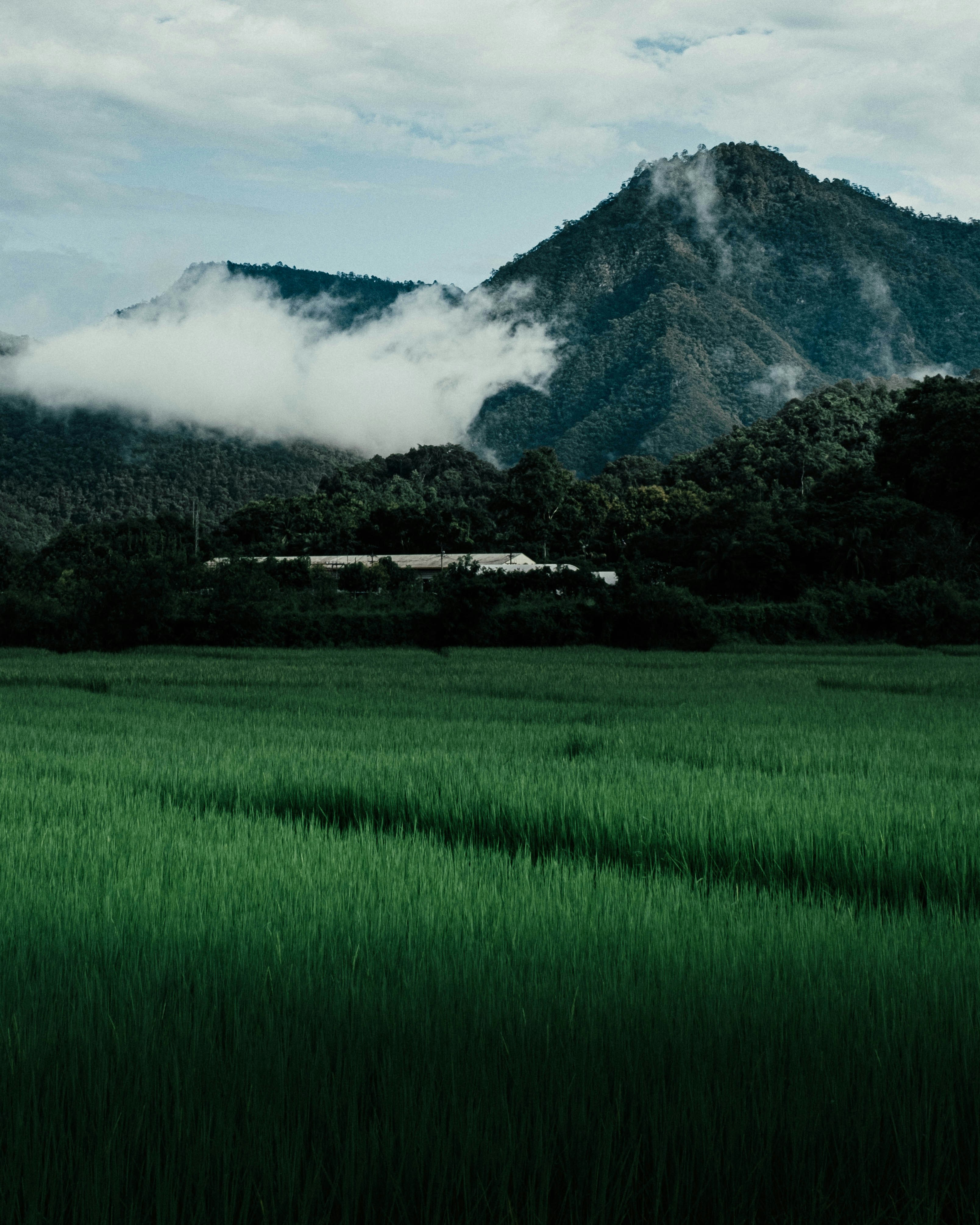 Photo by Racim Amr with Fujifilm X-T4