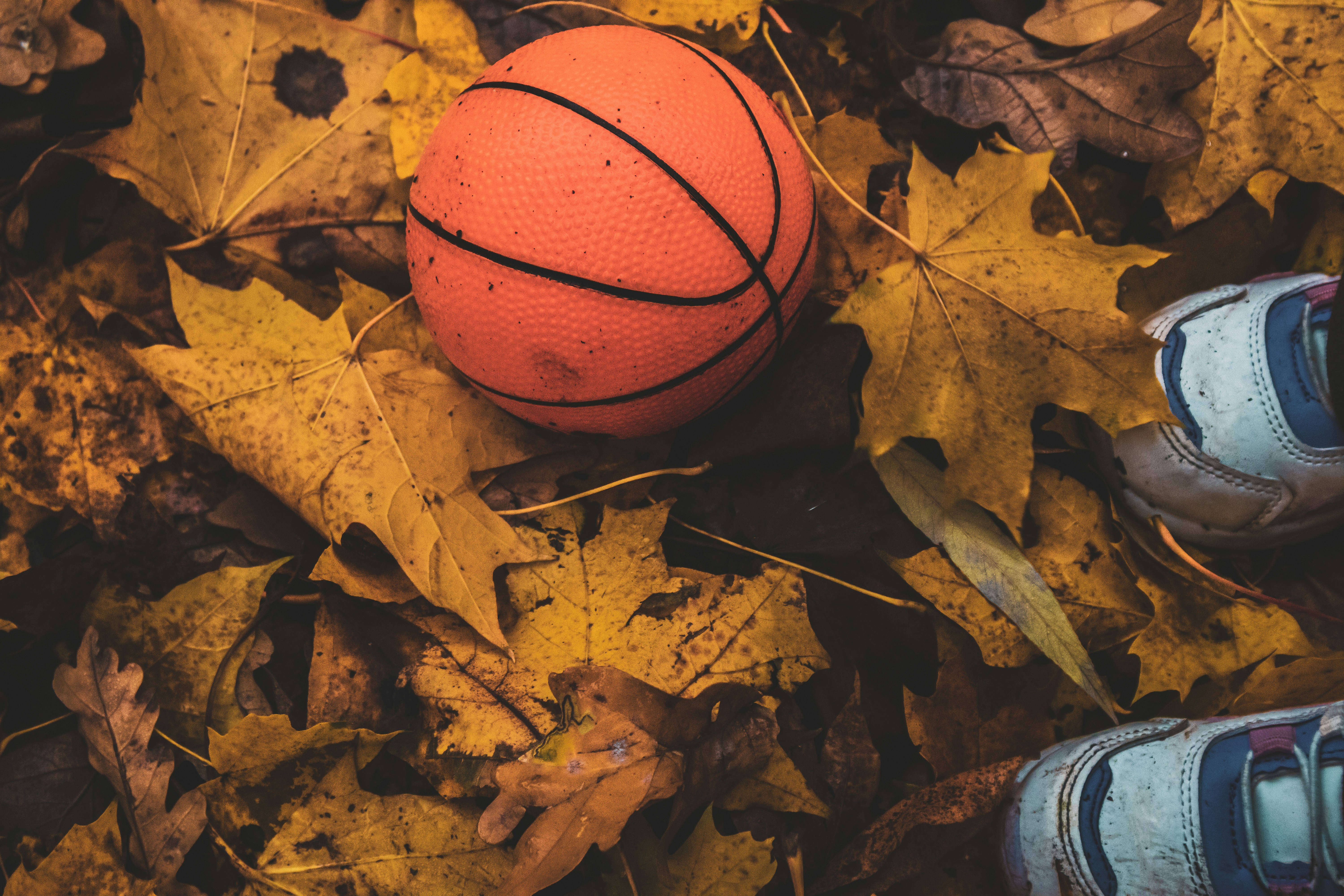 An orange basketball rests among a carpet of vibrant autumn leaves, with a sneaker visible in the foreground. The scene captures the essence of fall sports and nature's beauty.