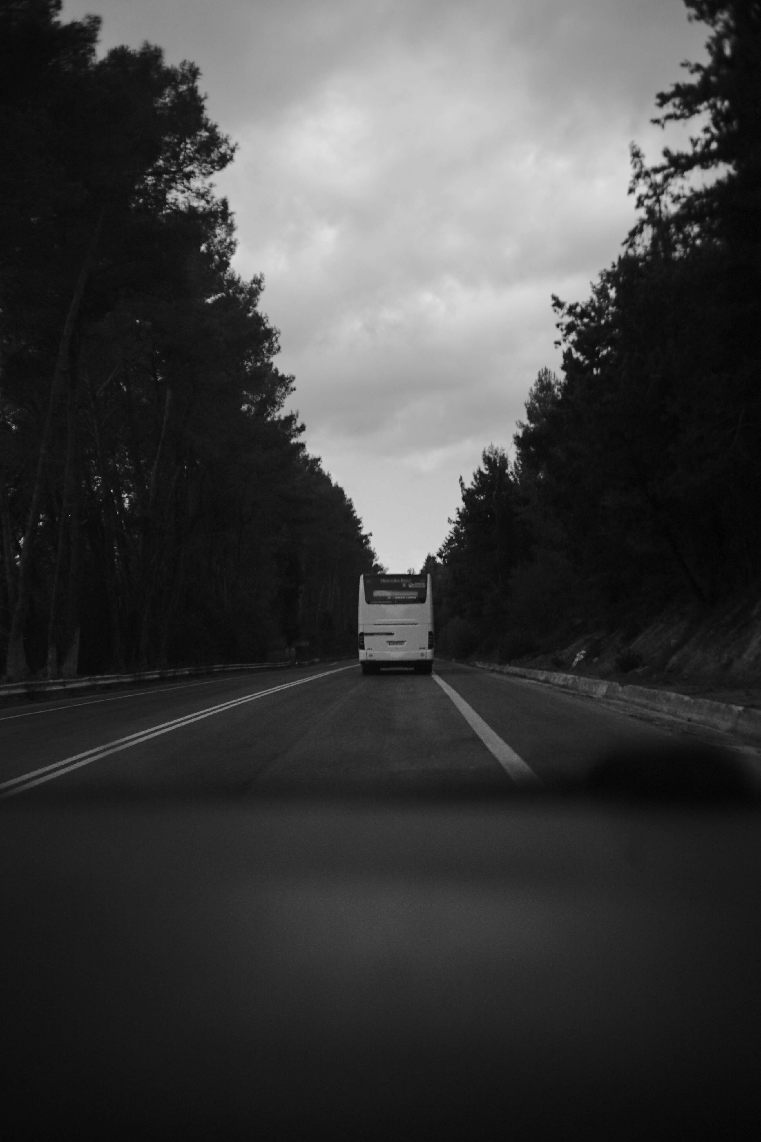 A white bus travels down a winding road flanked by tall pine trees under a cloudy sky.