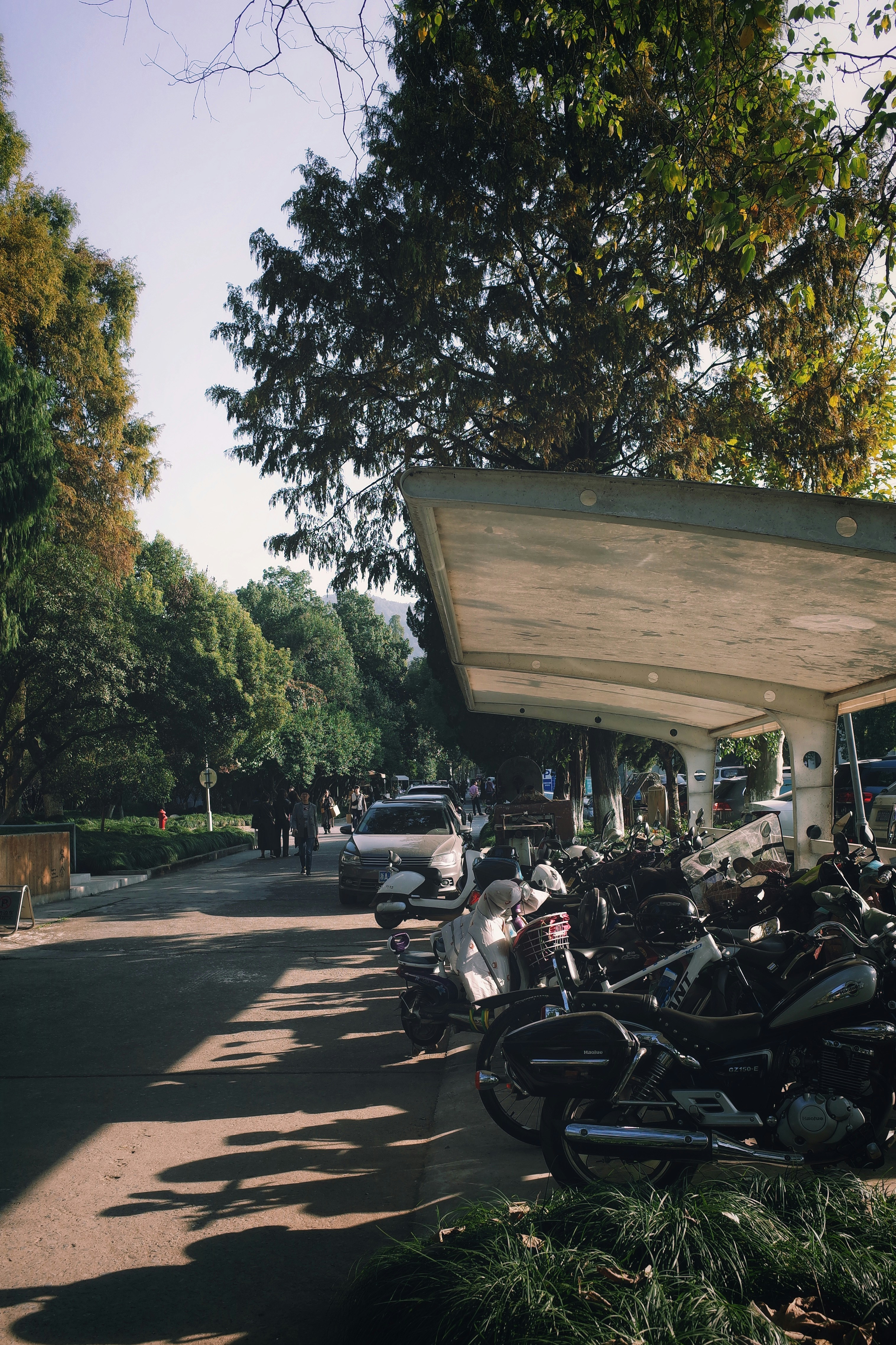 Sunlit Parkside Street with Covered Walkway and Row of Motorbikes