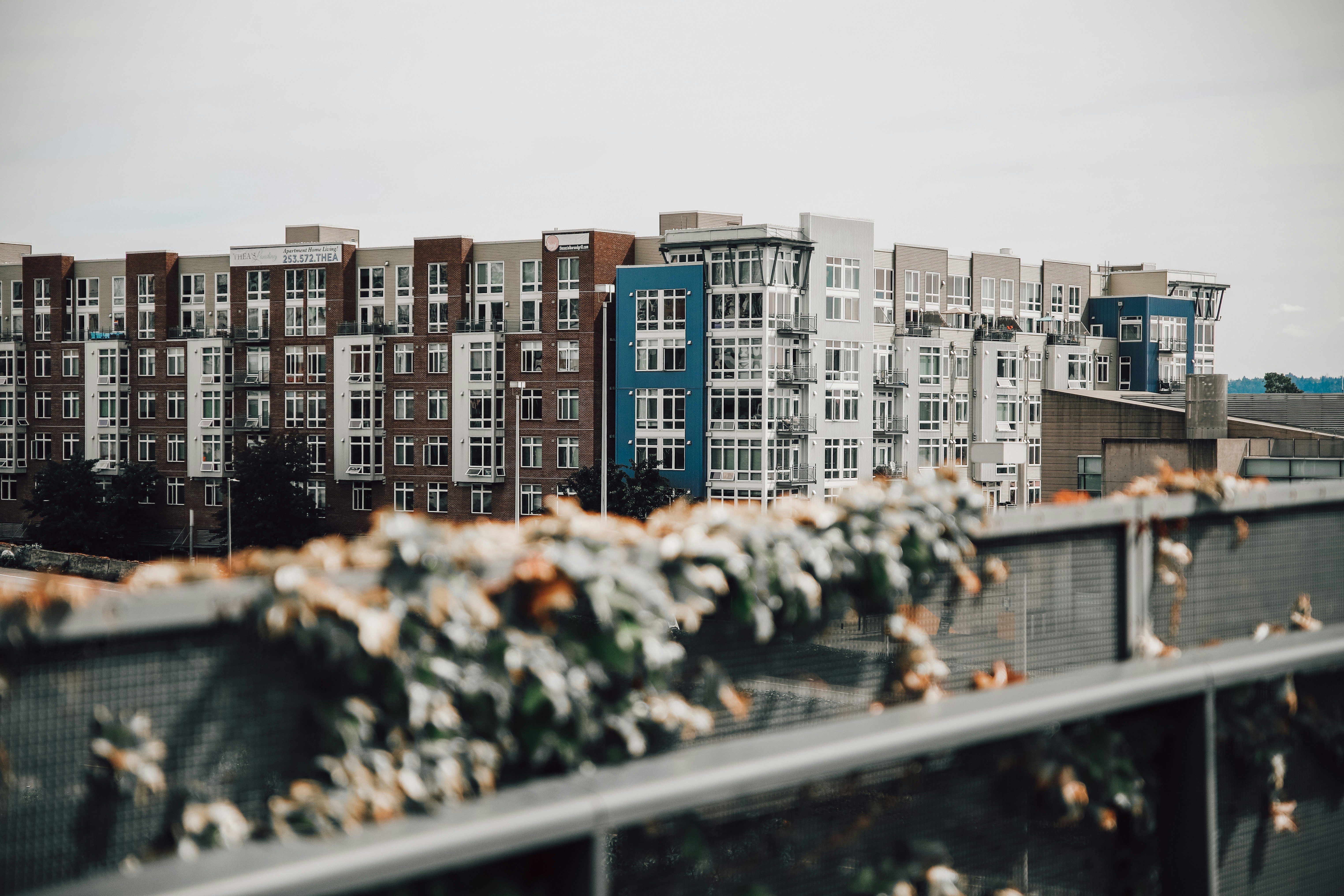 Modern apartment buildings rise behind a vine-covered railing on an overcast day.