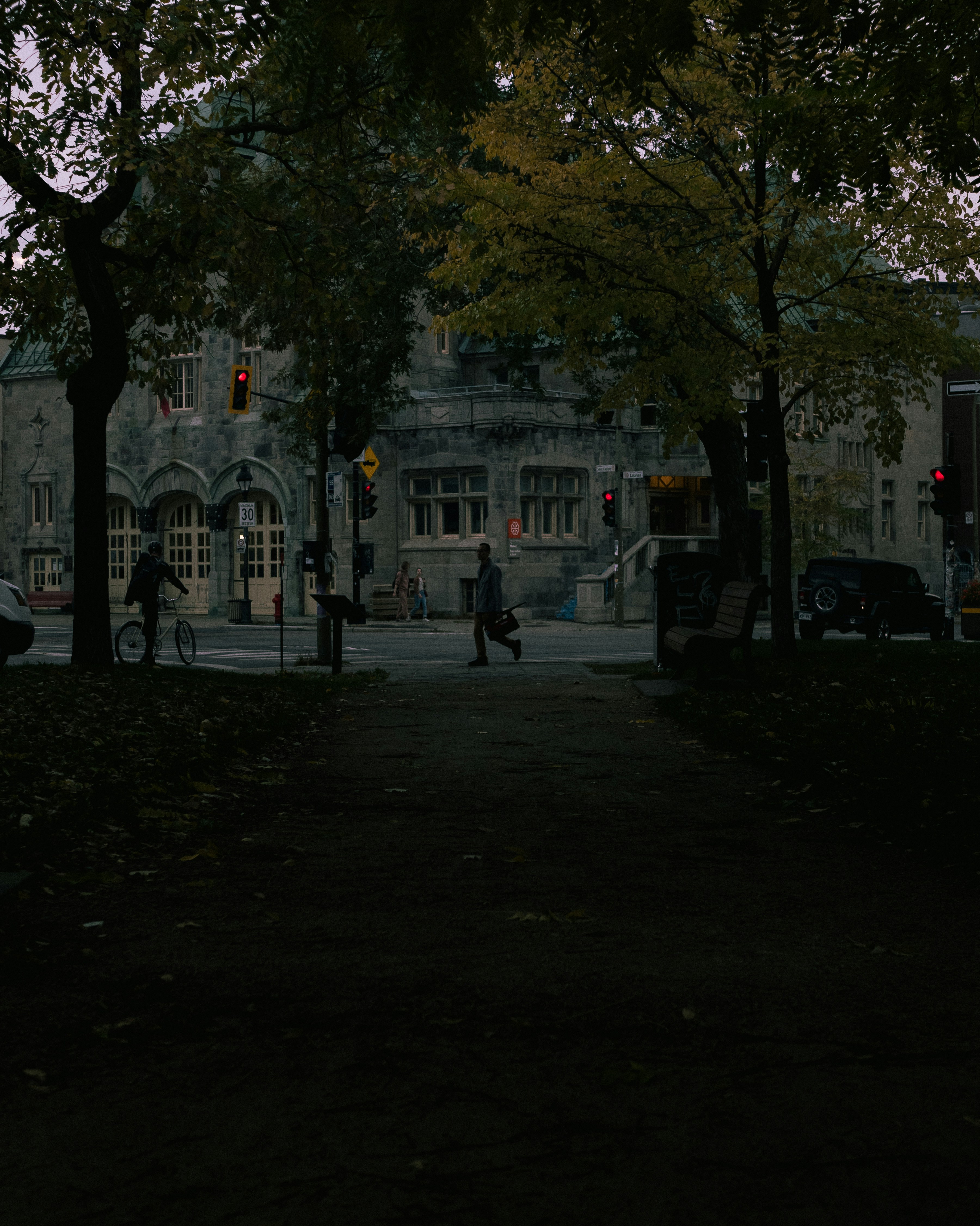 Dusk Crossing Through a Shadowed Campus Street
