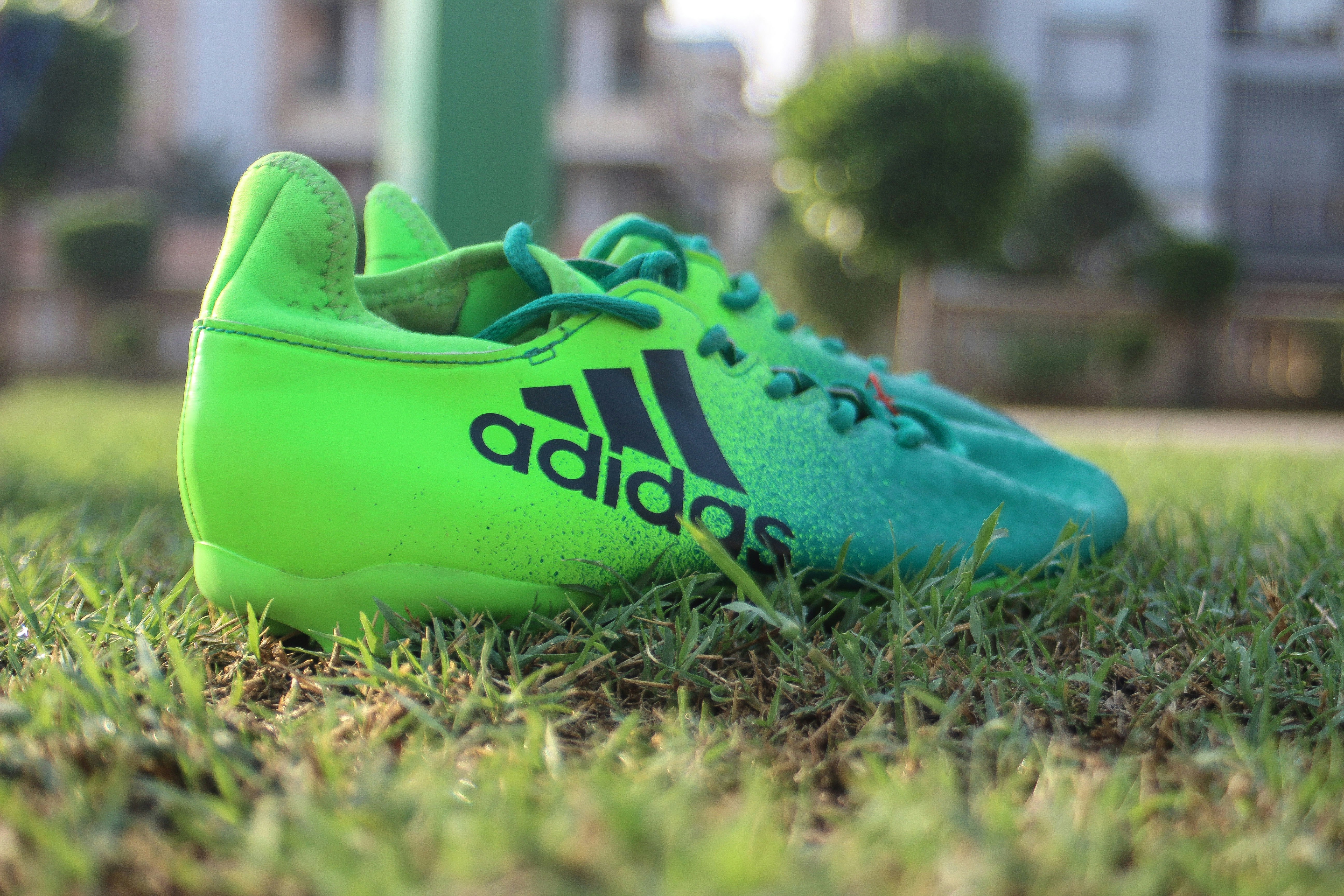 Neon Adidas on Grass: Close-Range Portrait of Bold Shoes