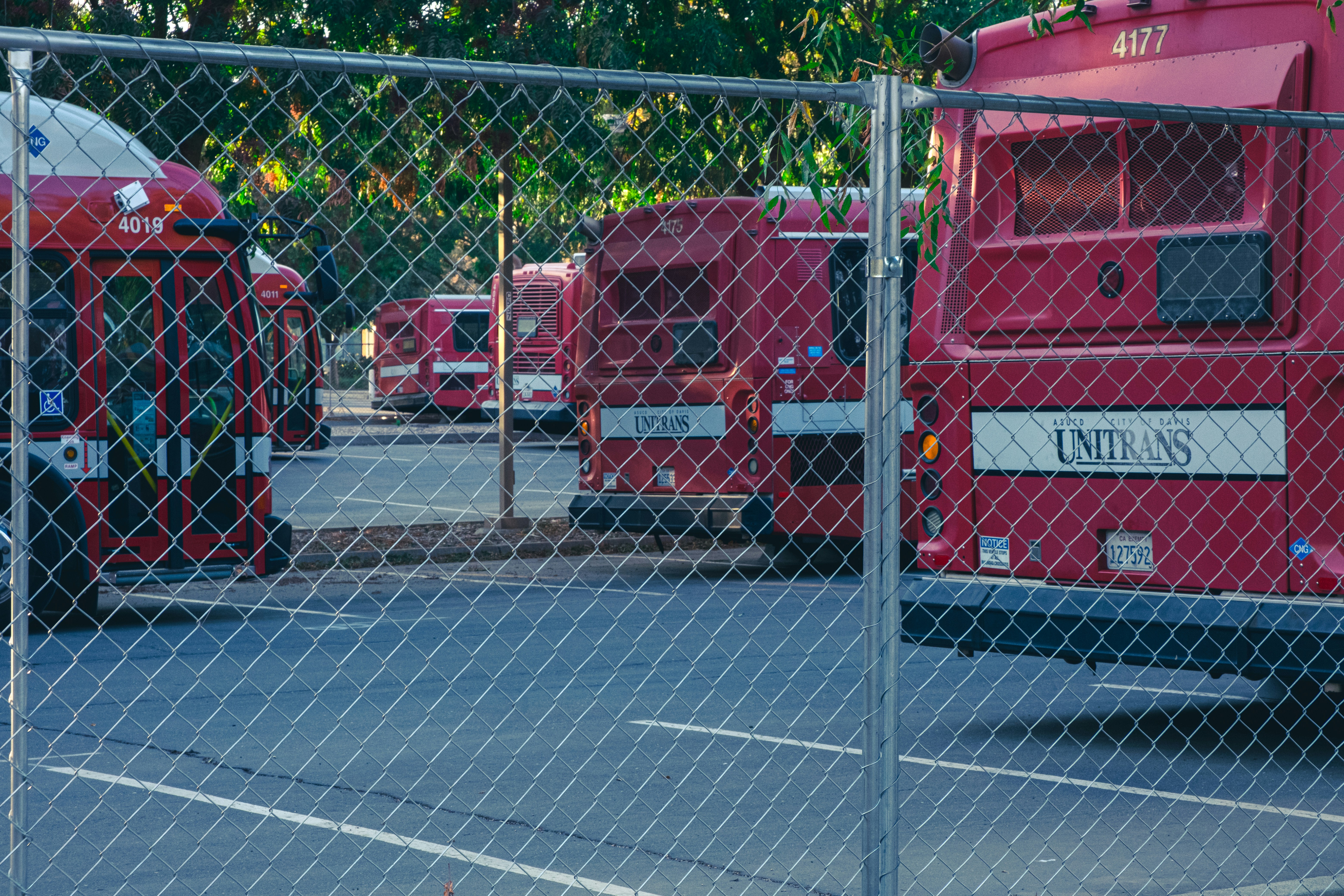 Red buses behind fence.