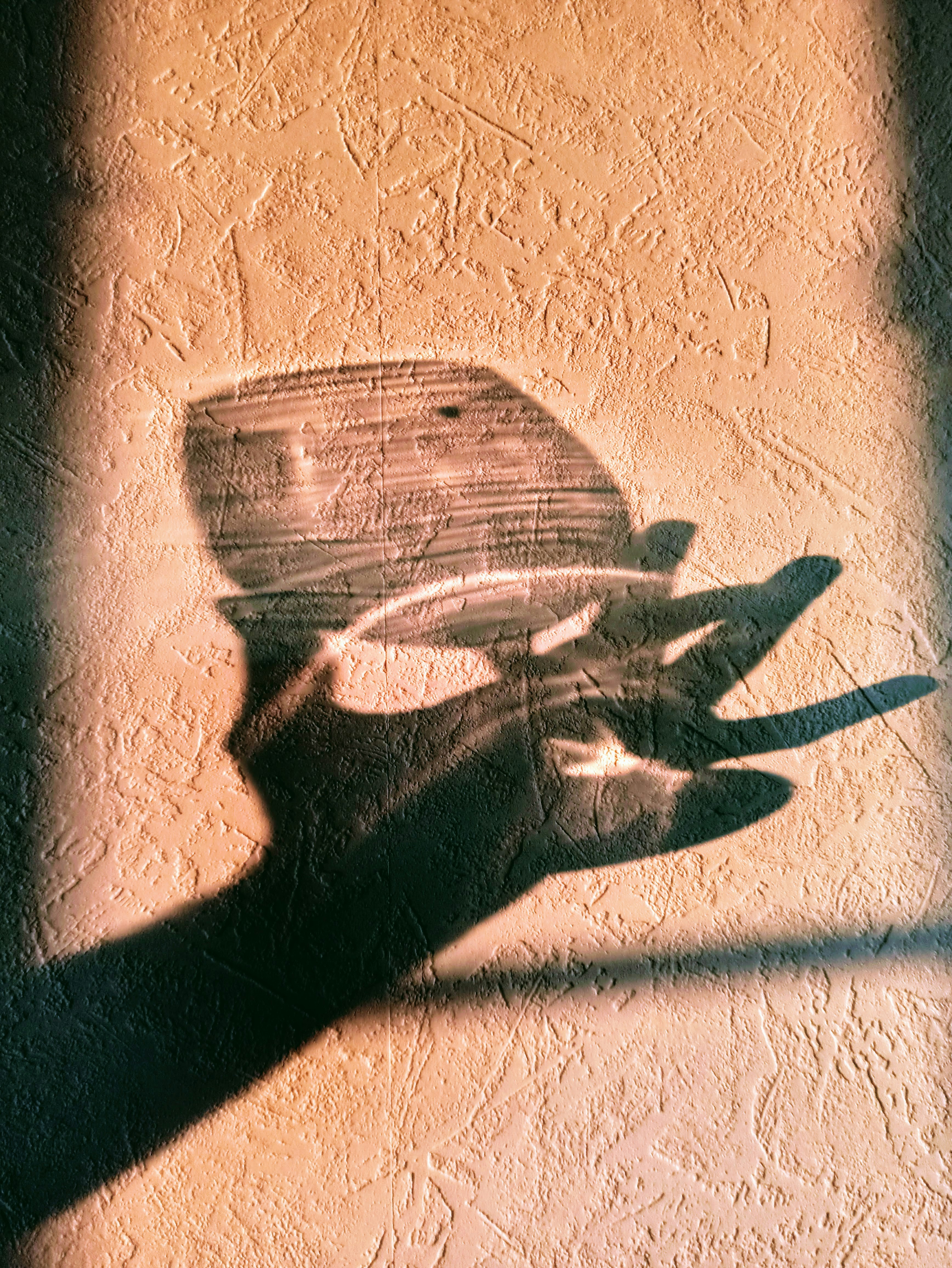 shadow of person holding clear glass cup