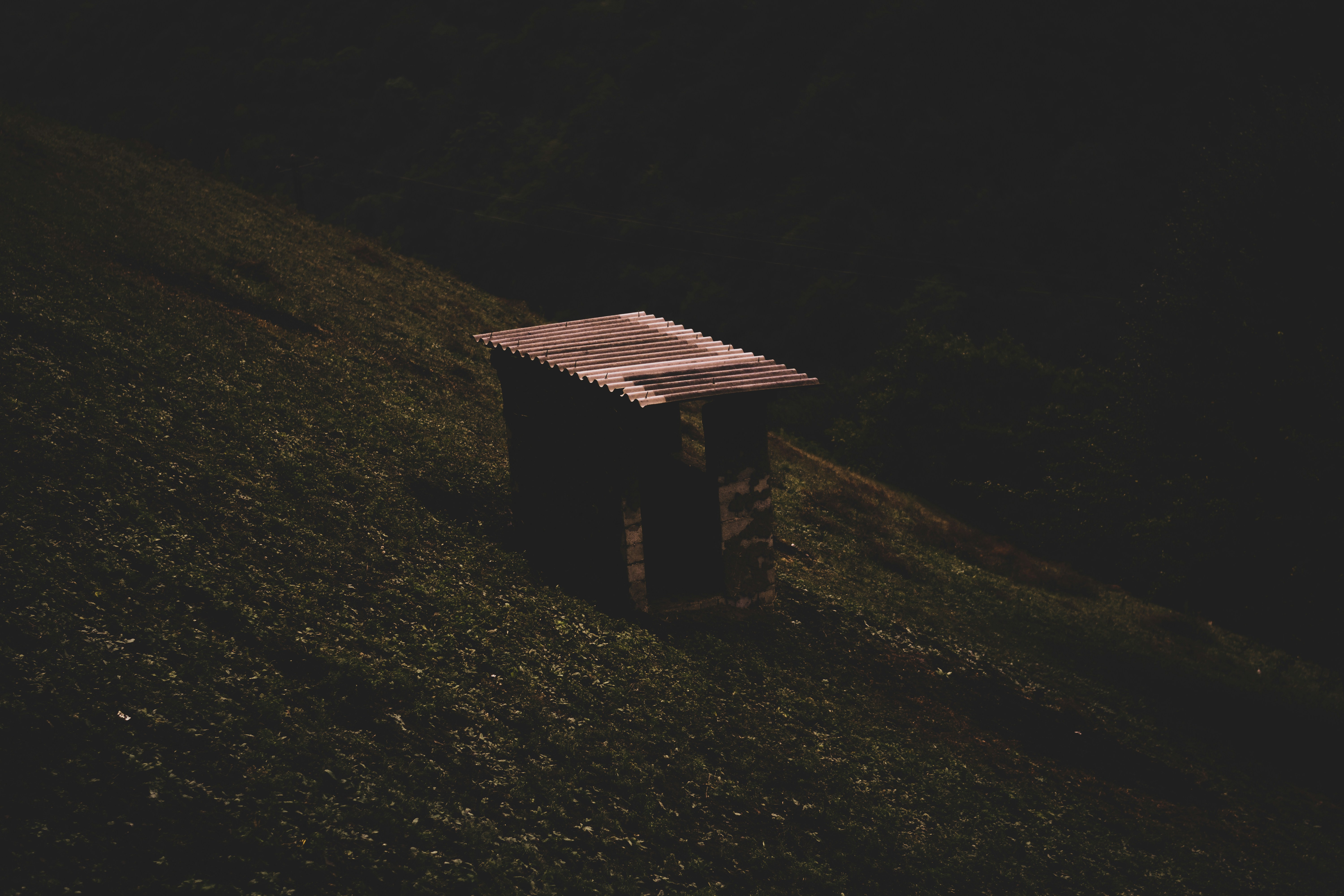 brown wooden house on green grass field during night time