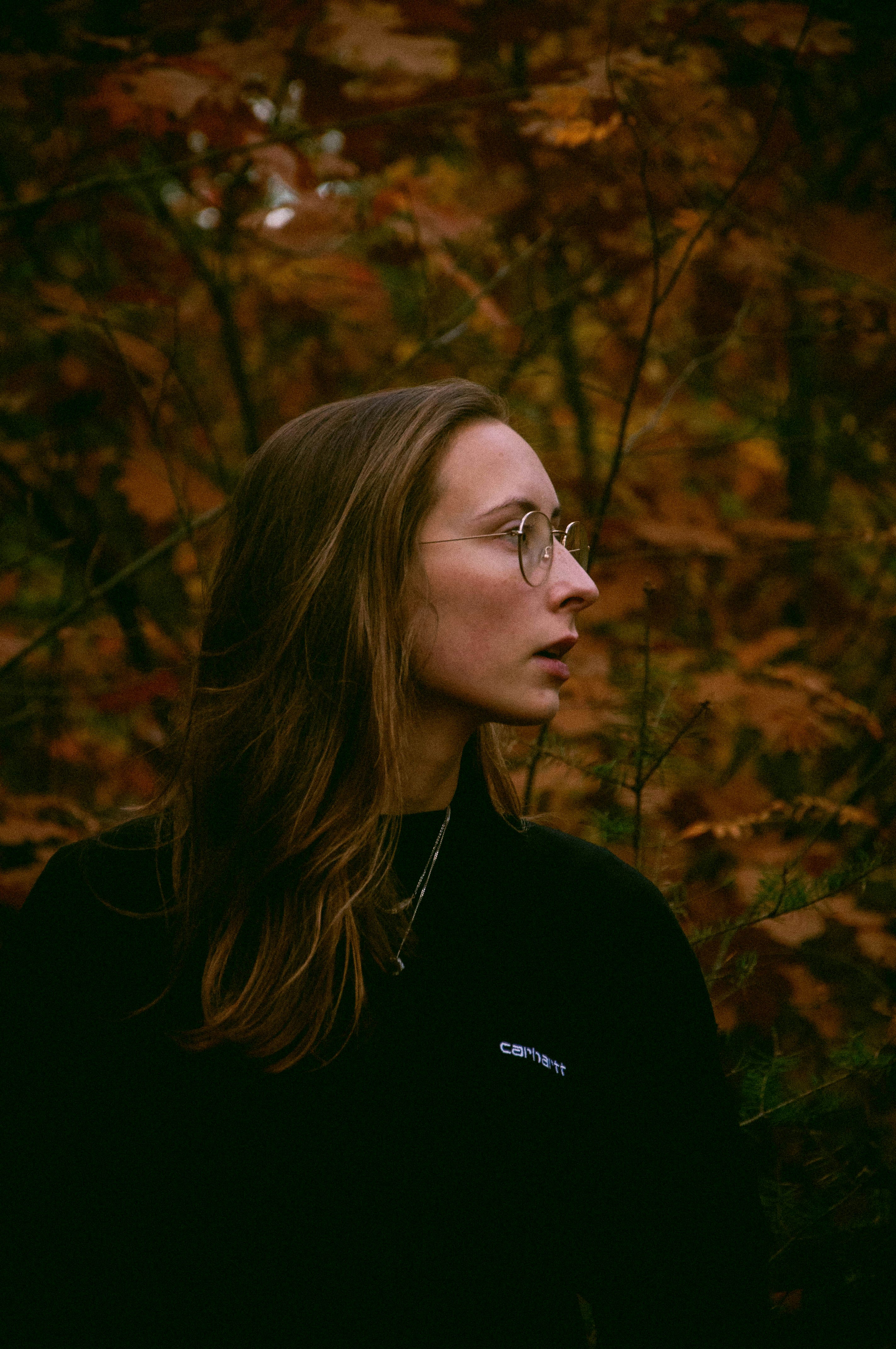 Profile in Copper Light: A Contemplative Autumn Portrait Amid Rust-Red Foliage