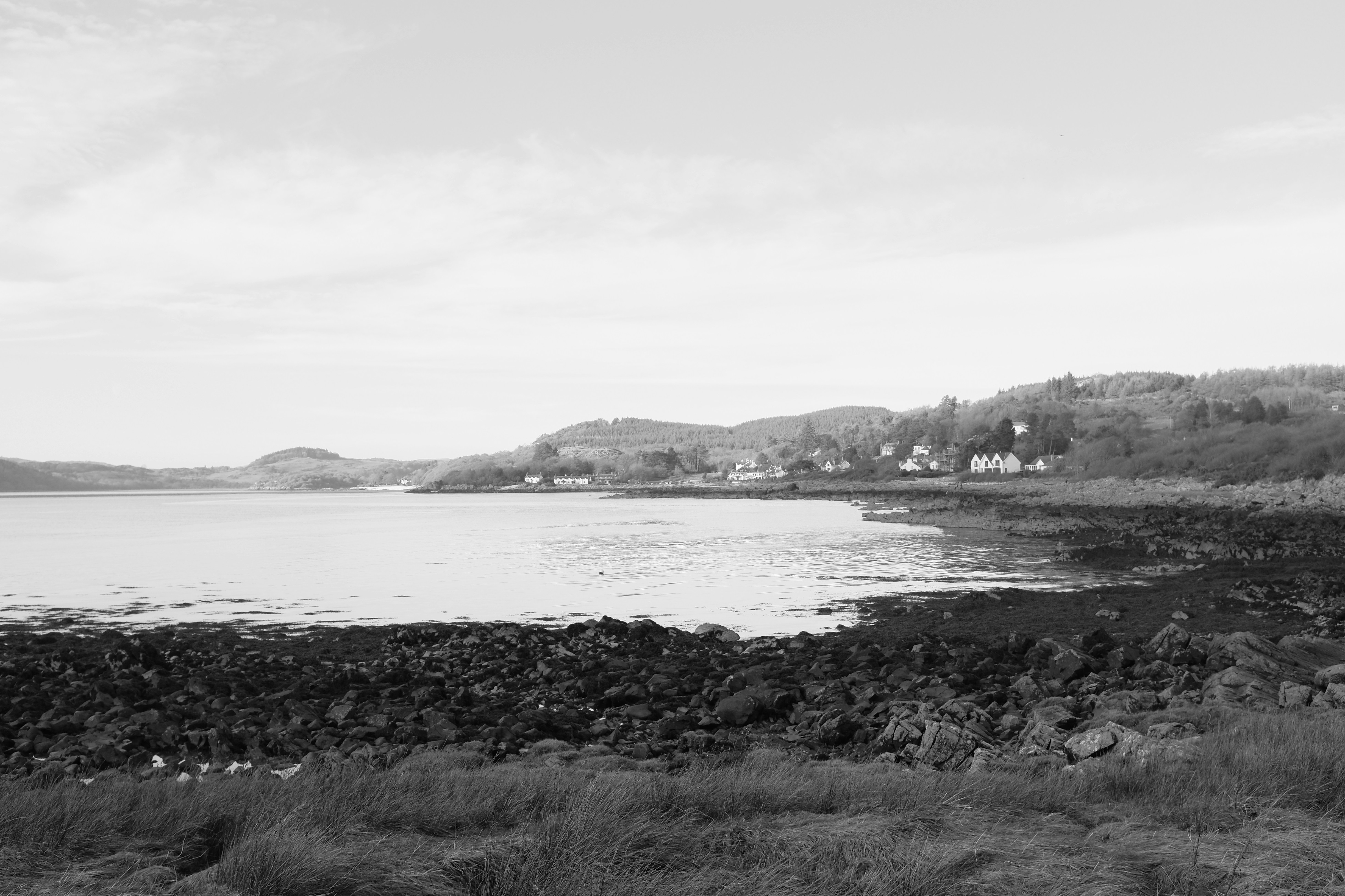 Stuart Harrison (@stuarth) | Unsplash Photo Community