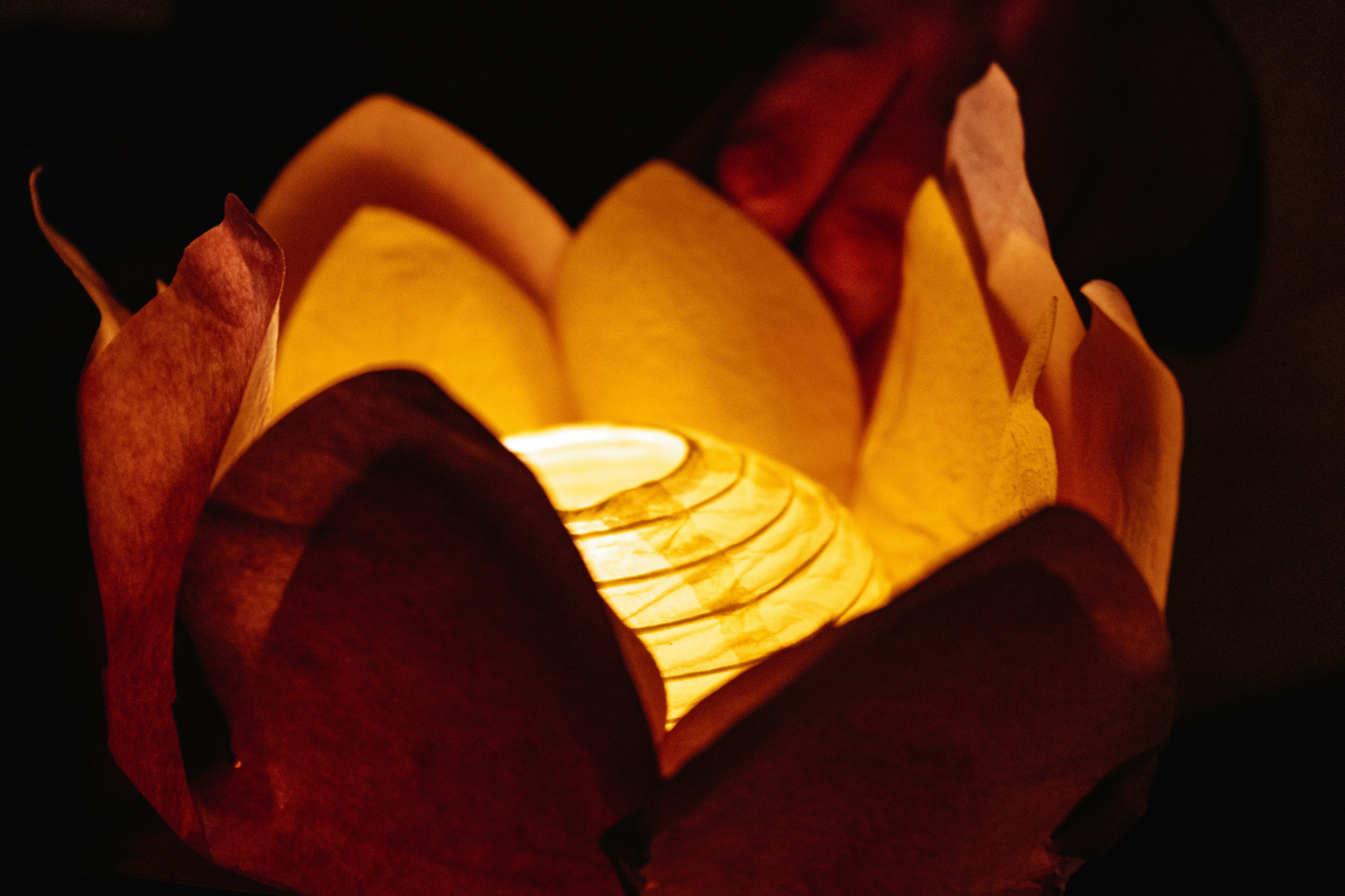 Petaled Lantern: Warm Core Hidden in Folded Gold