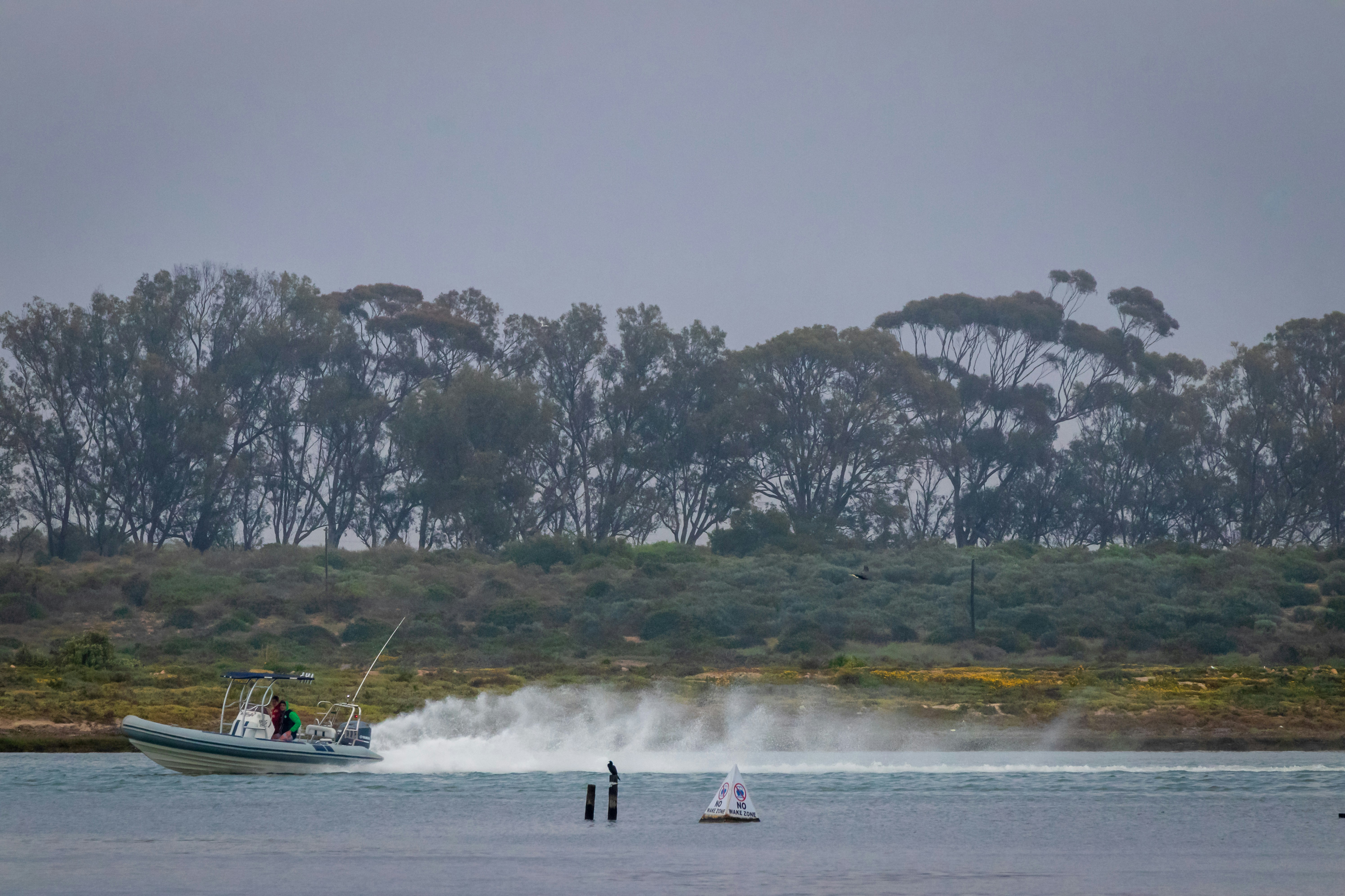 A speedboat glides through calm waters, leaving a trail of spray against a backdrop of trees and a distant buoy.