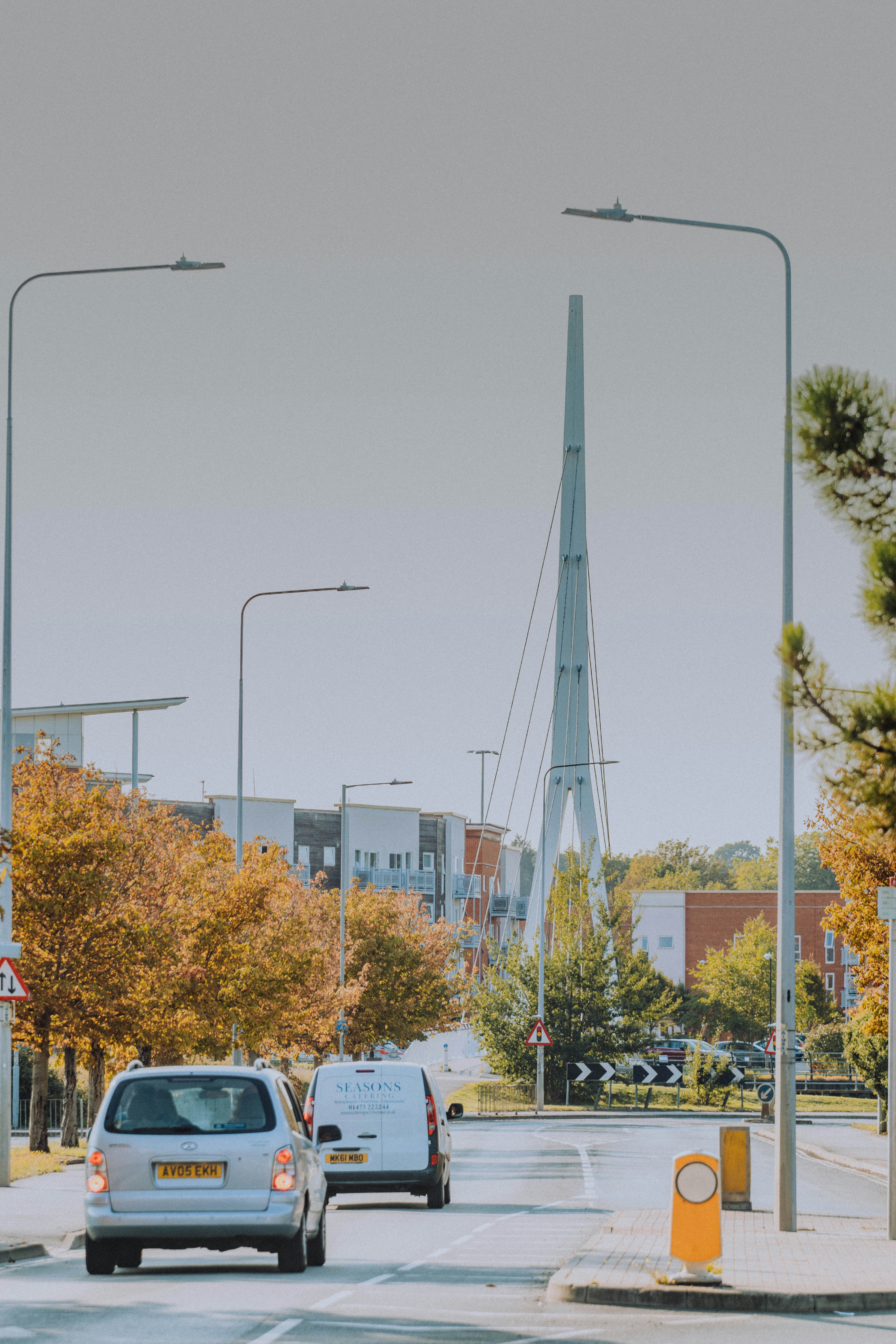 Towering Silence: Autumn Street Beneath a Modern Cable-Stayed Pylon