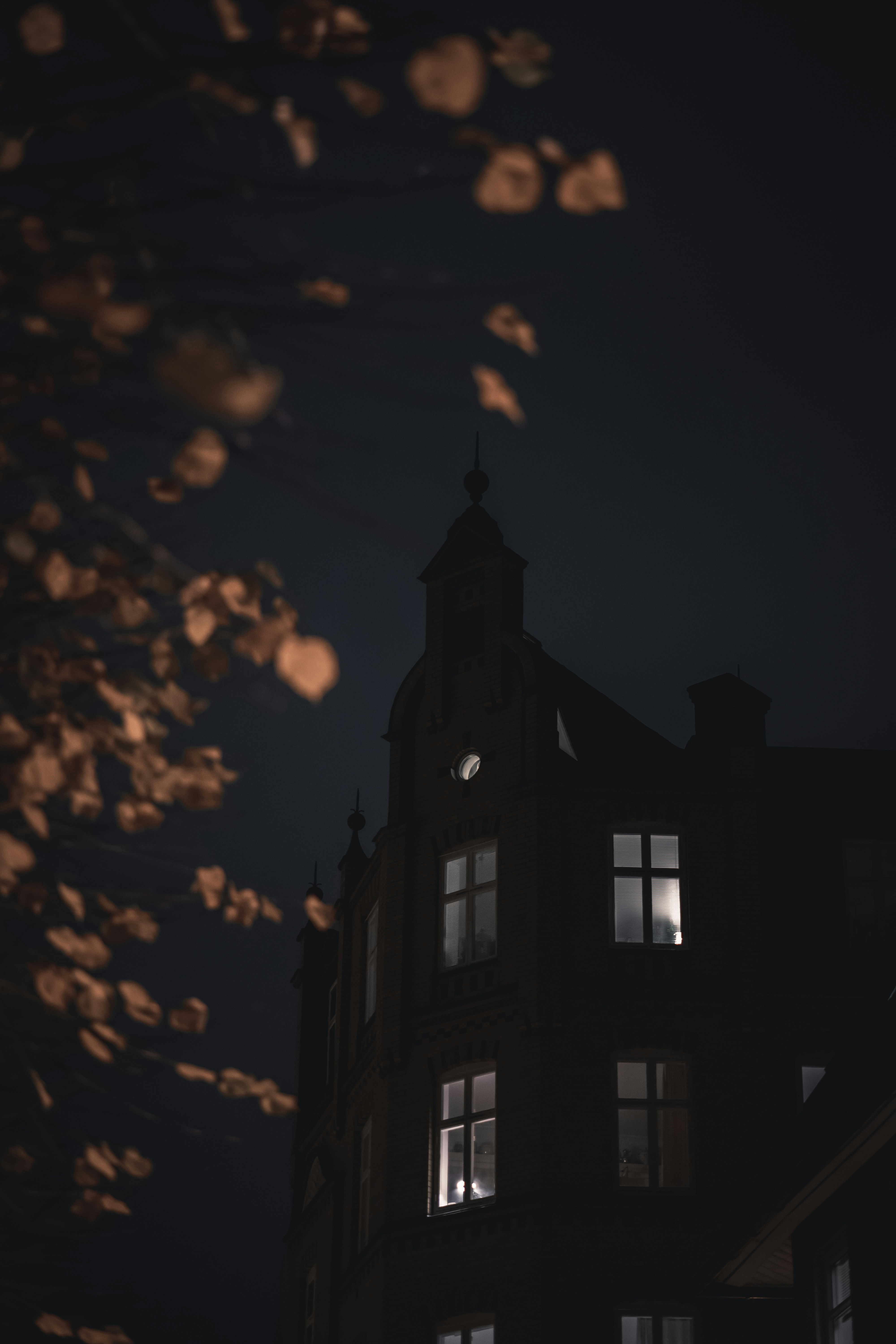 Nocturnal Red Brick Manor: Glowing Windows Through Velvet Night