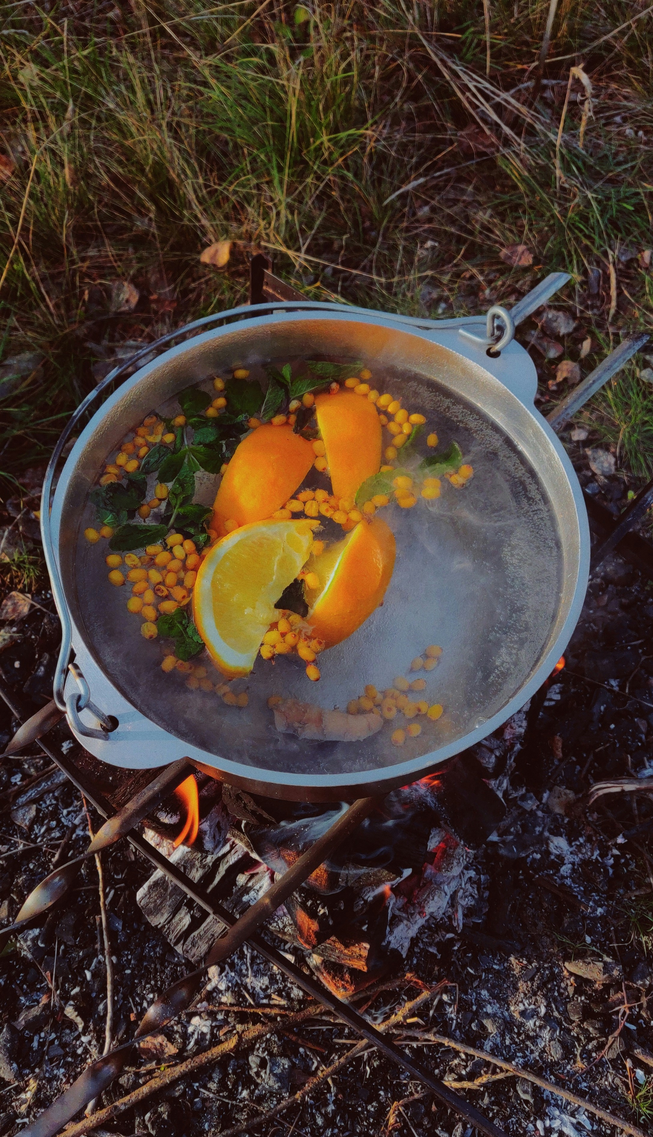 Citrus Steam over Ember: A Woodland Campfire Pot Simmer
