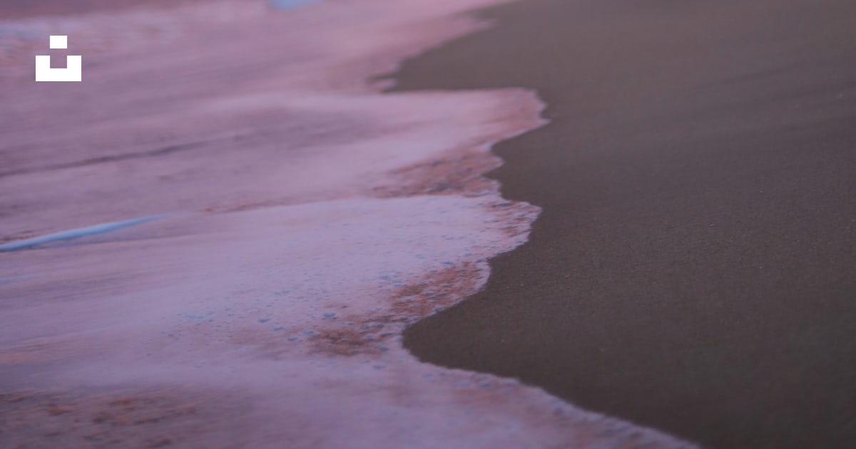 昼間の曇り空の下、海辺の緑の木々の写真 Unsplashの浜の無料画像
