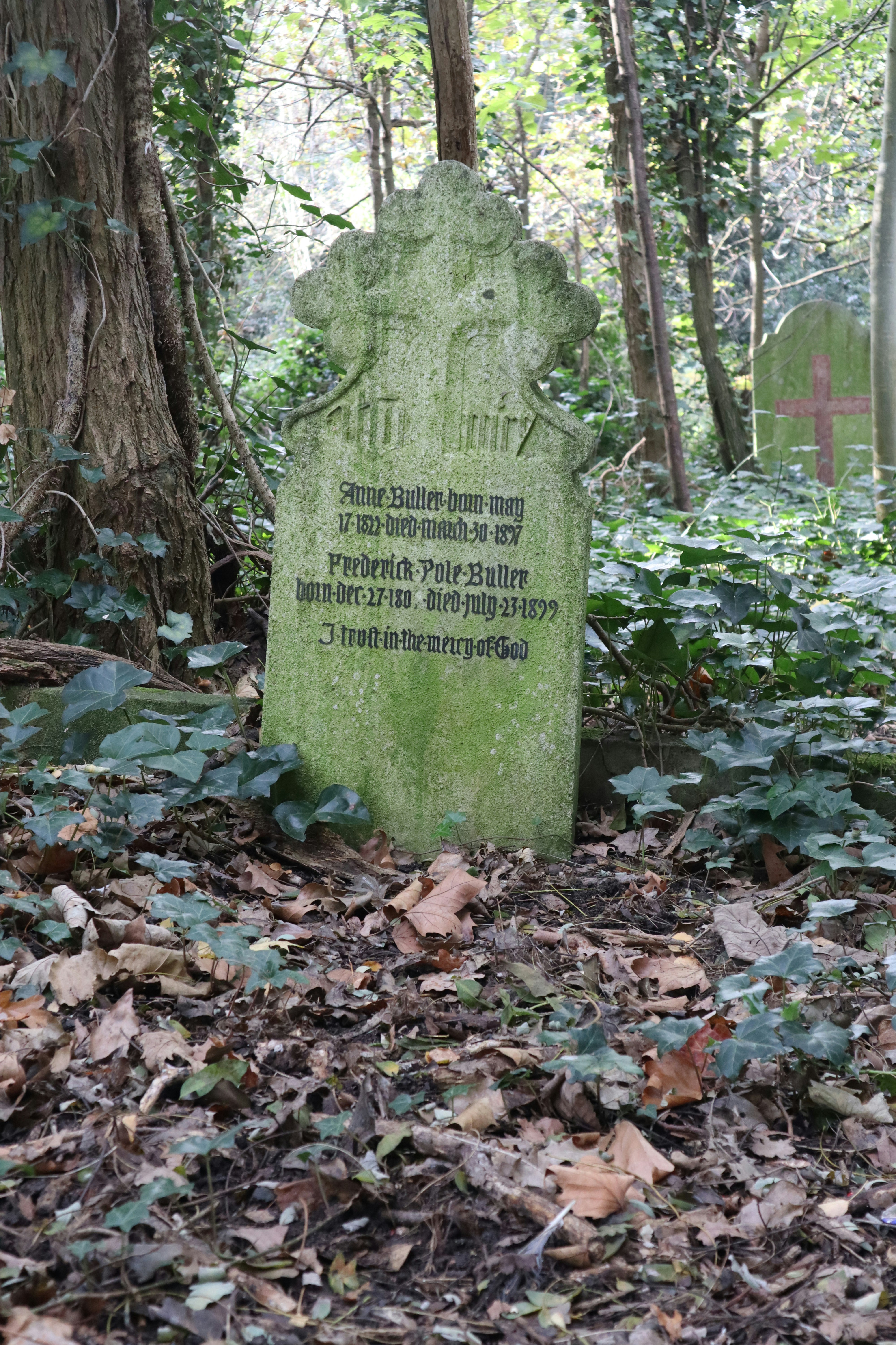Gray concrete tomb stone surrounded by dried leaves photo – Free Grey ...