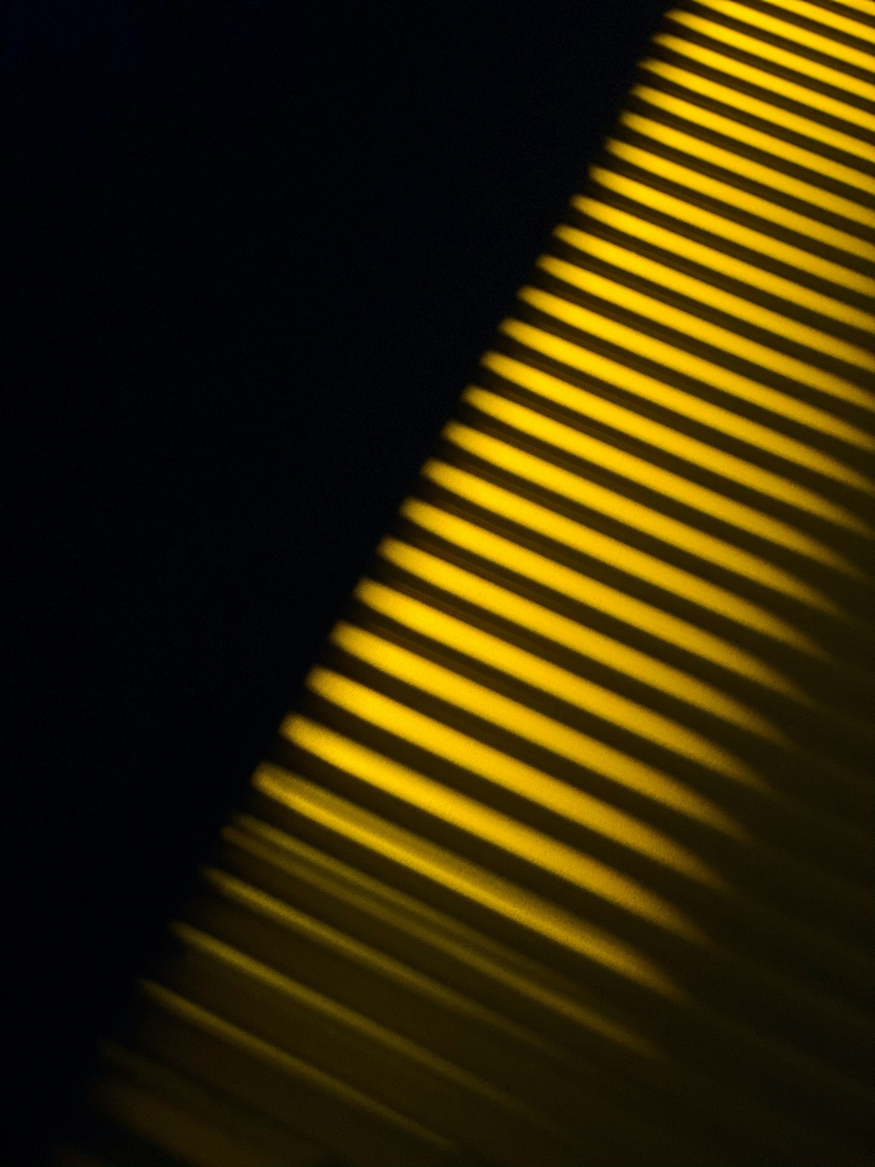 Tobias Olivier (@tobiasphotography) | Unsplash Photo Community