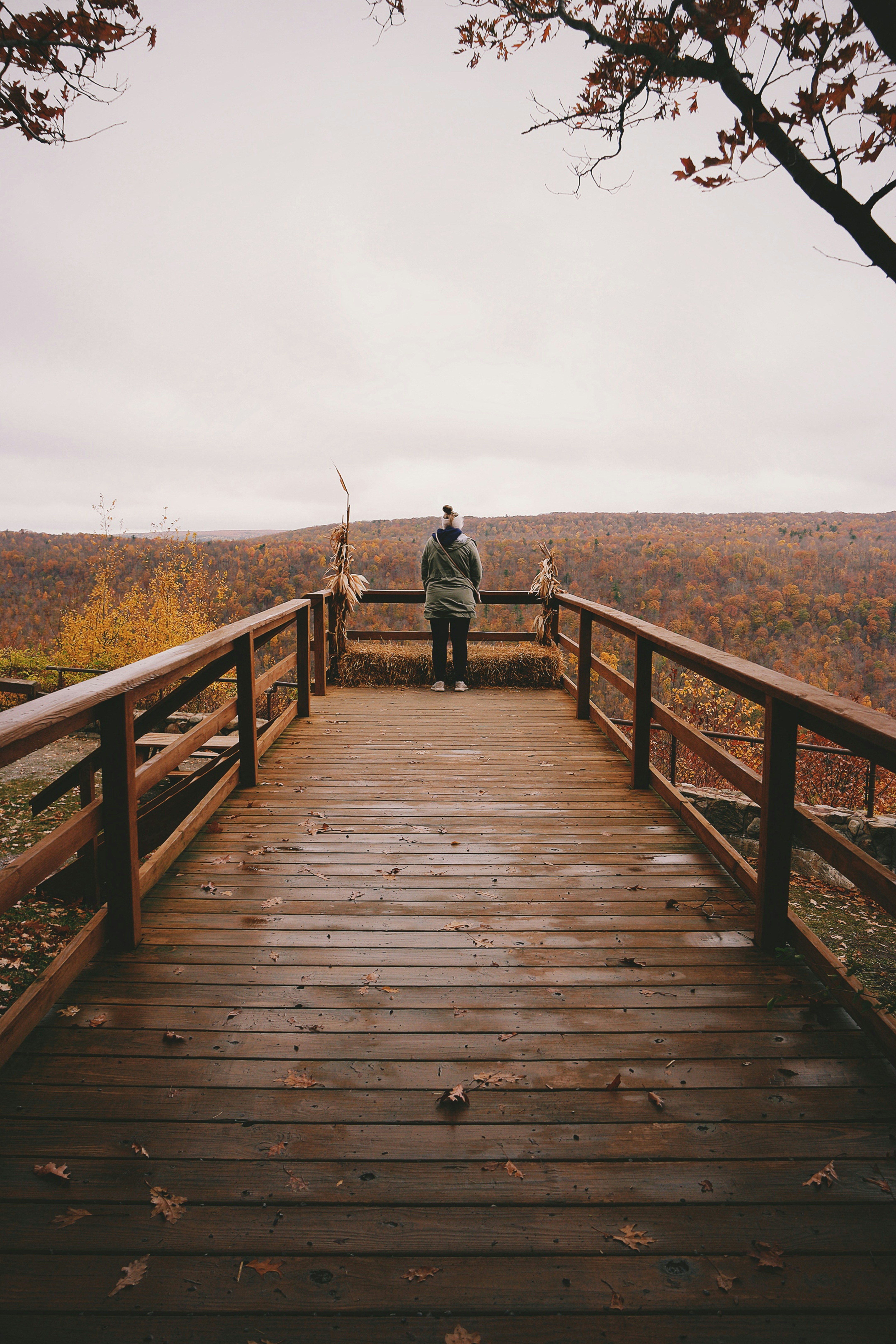 Individual standing on a wooden overlook, gazing at a vibrant autumn landscape filled with colorful foliage. The scene captures a moment of reflection and connection with nature.