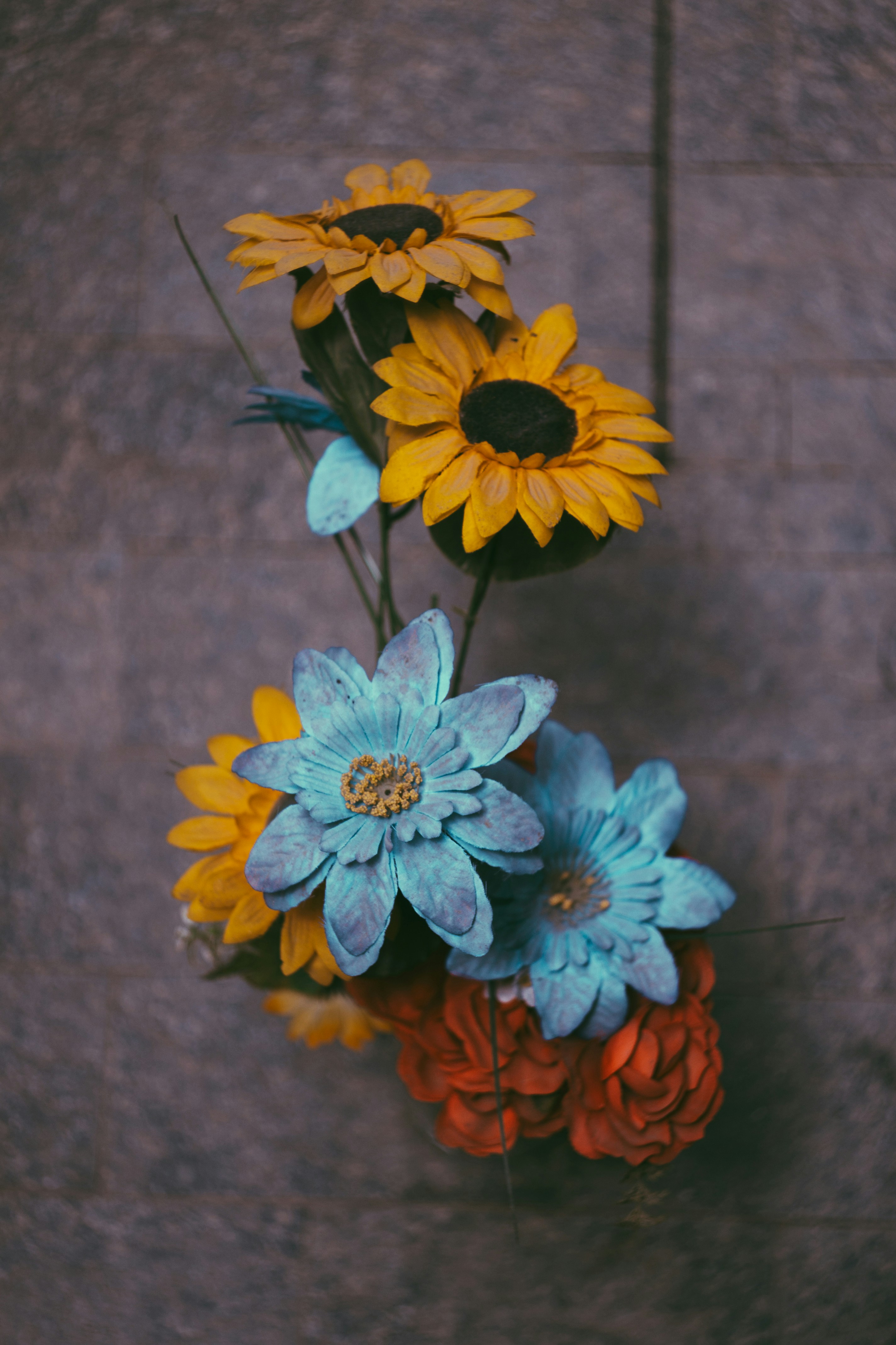 Sunlit Blooms: Blue Petals Amid Orange and Yellow Flowers