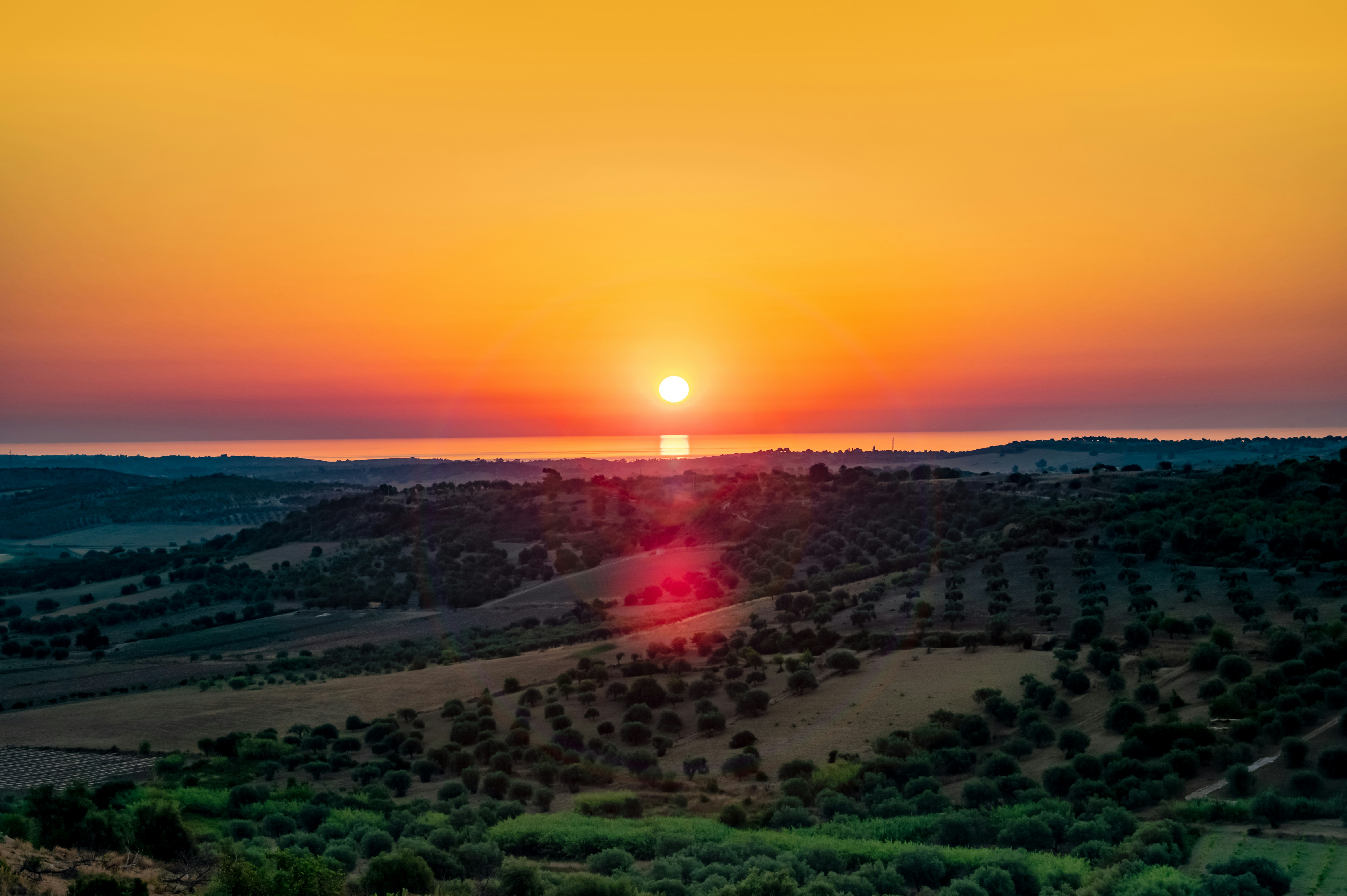 Golden Horizon: A Sunset Over Rolling Hills