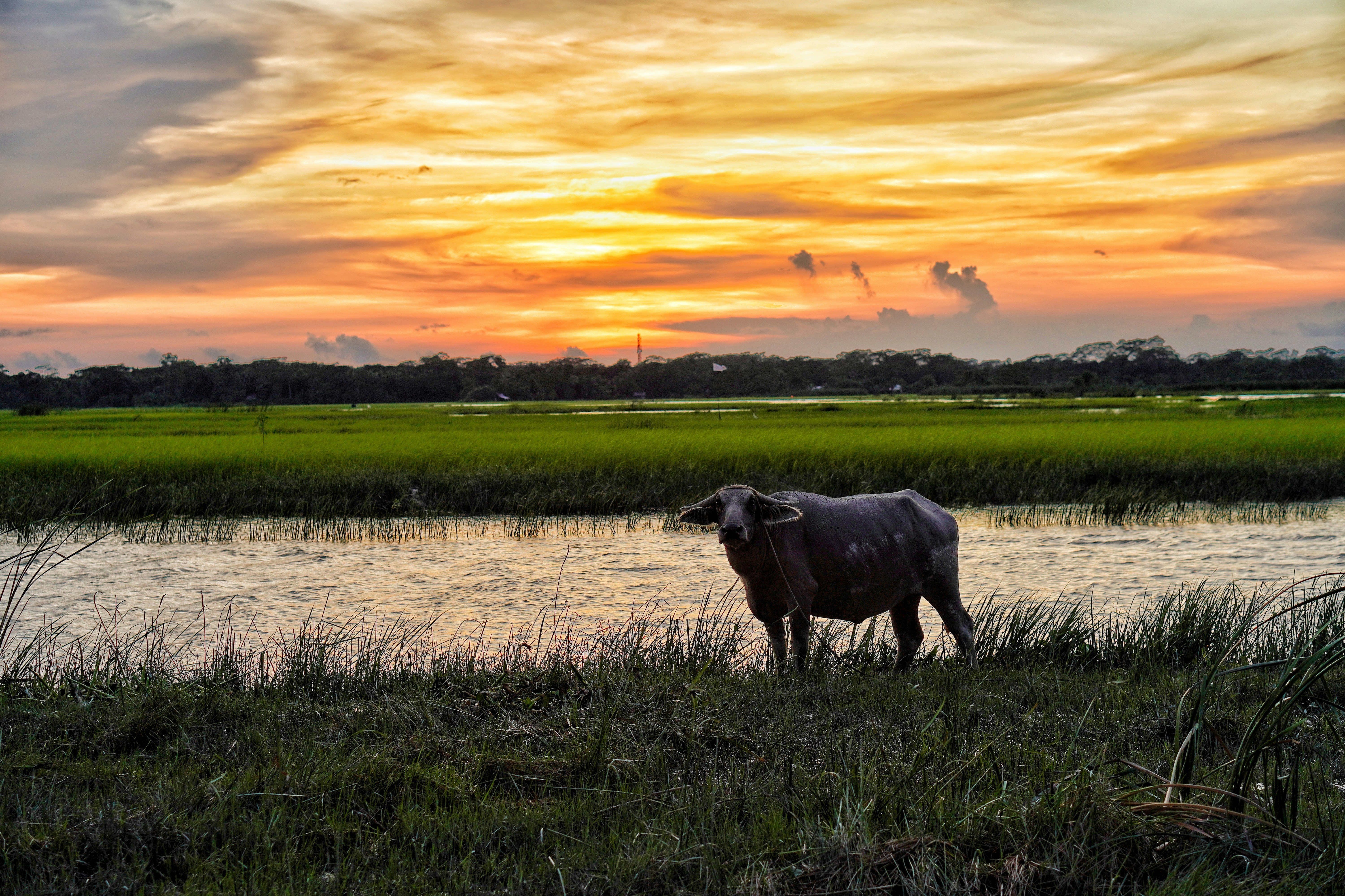 Photo by Ahnaf Piash with Sony Alpha 6100