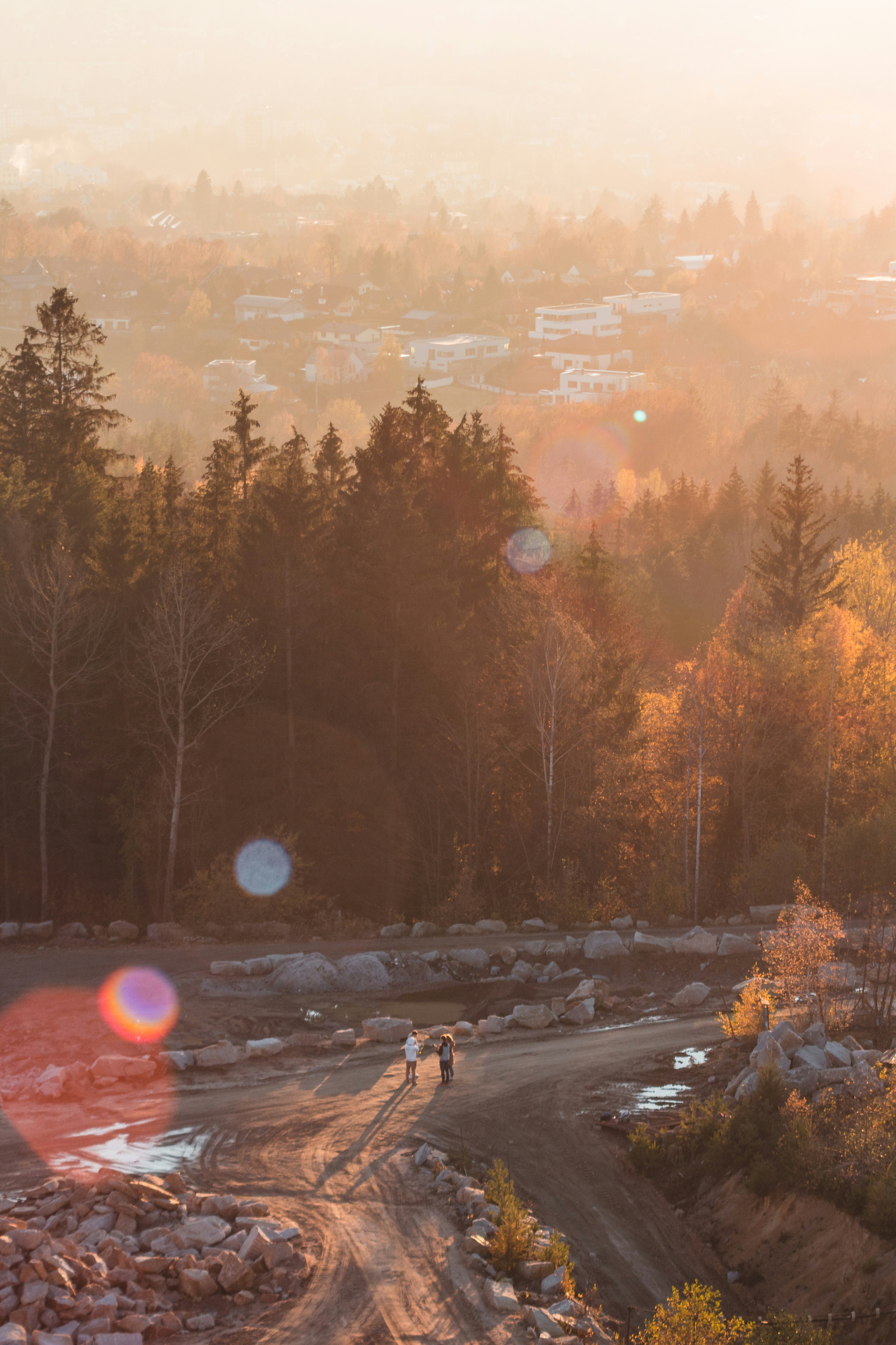 Golden Hour Along a Pine-Dusted Road: Two Hikers on an Autumn Trail