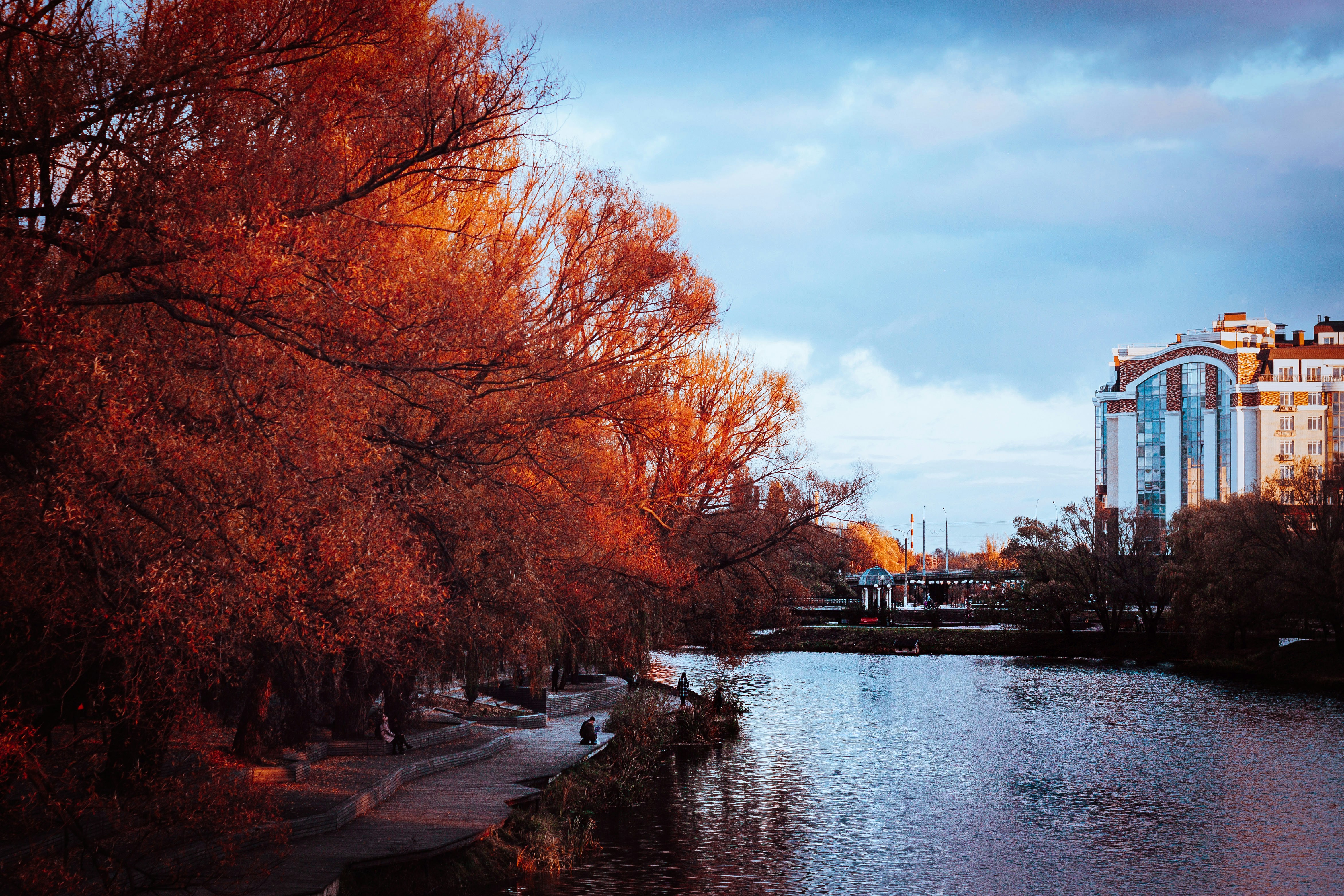 Amber Riverbank: Autumn Light Toward a Distant City Bridge