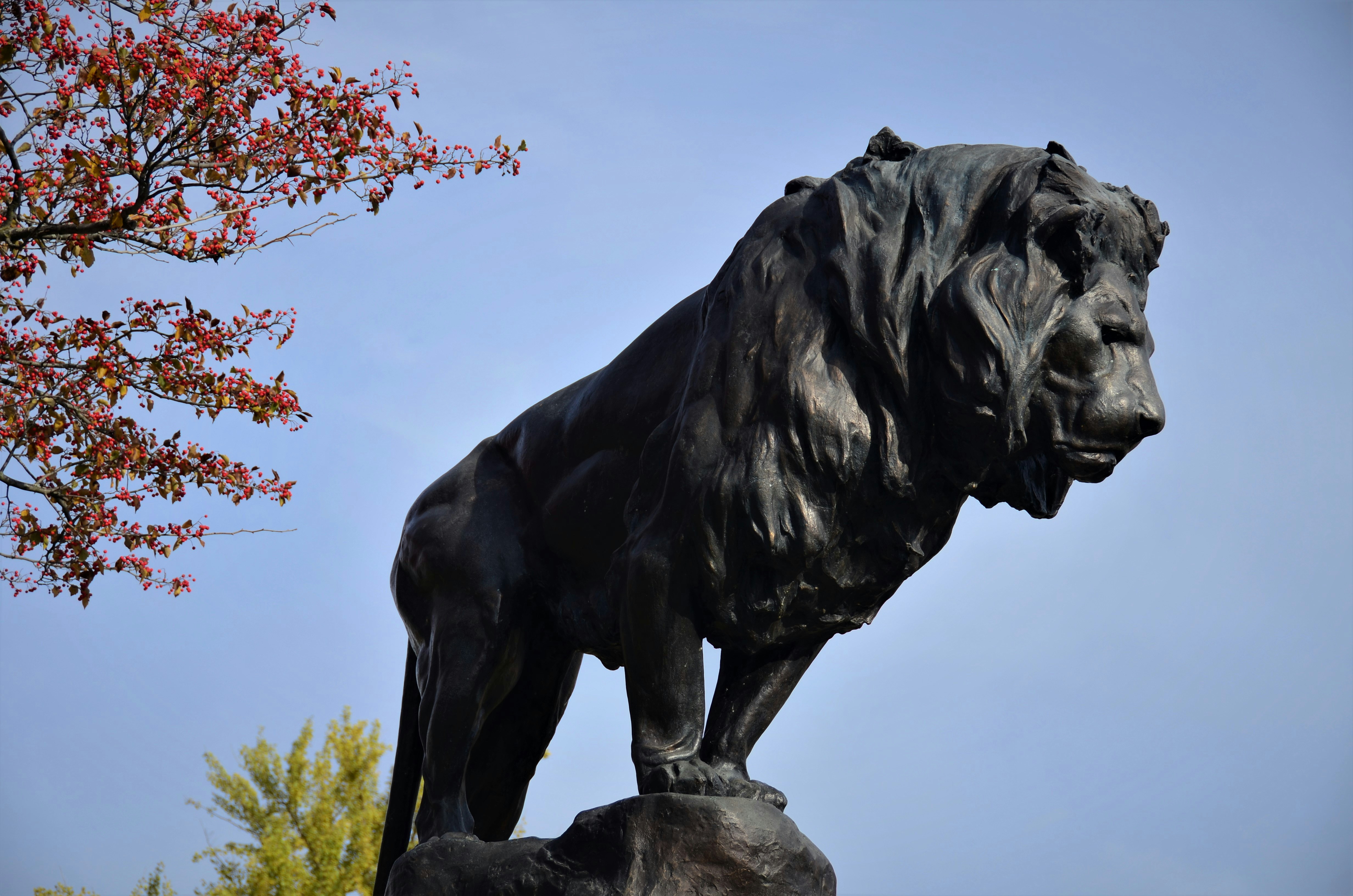 Black lion statue under blue sky during daytime photo – Free Art Image ...