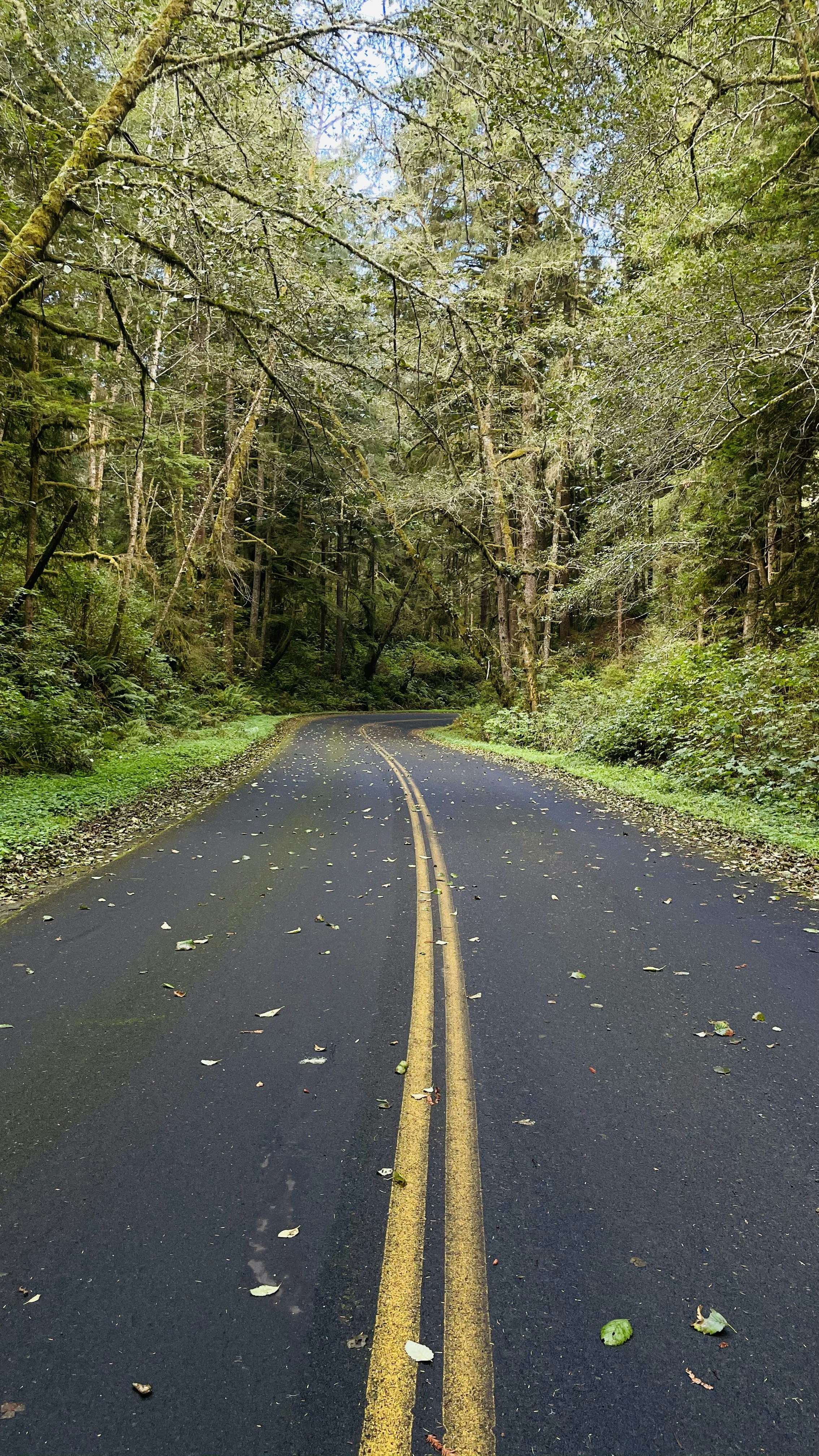Roads | 3 best free road, asphalt, tarmac and freeway photos on Unsplash