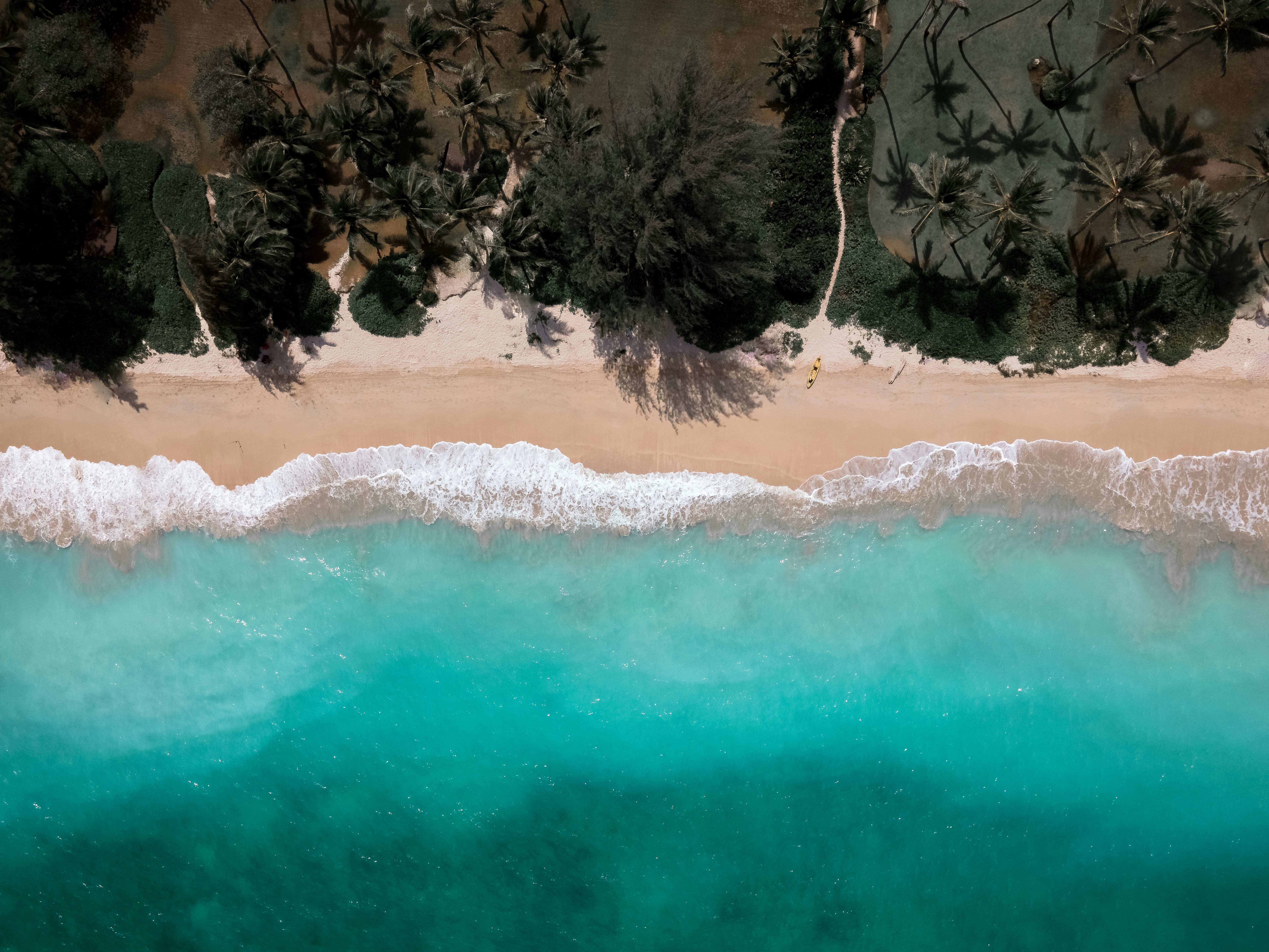 Aerial photograph showing palm-lined shore and vivid turquoise water meeting foamy white surf along a pale sandy beach.