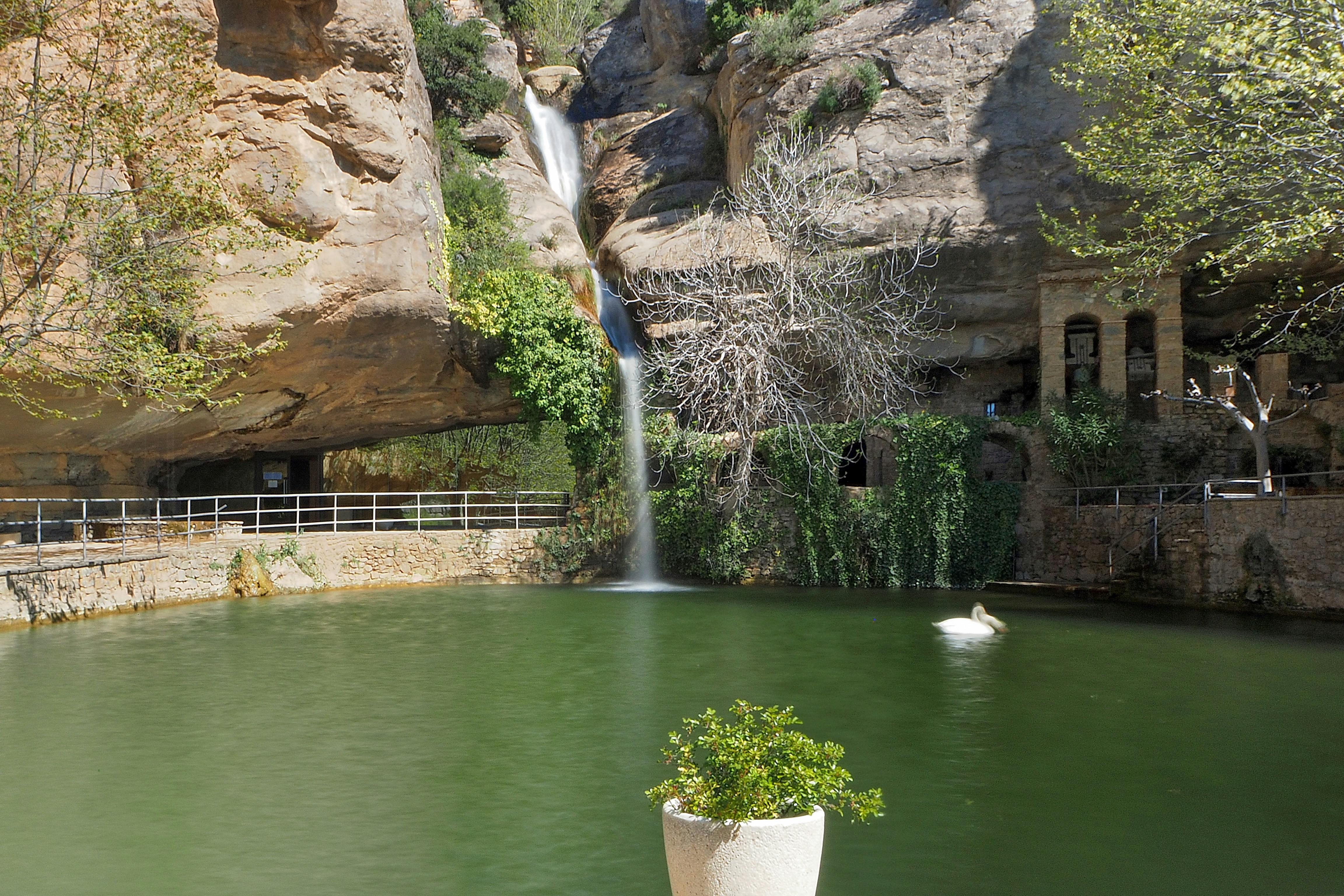 Hidden Oasis Beneath Rocky Cliffs