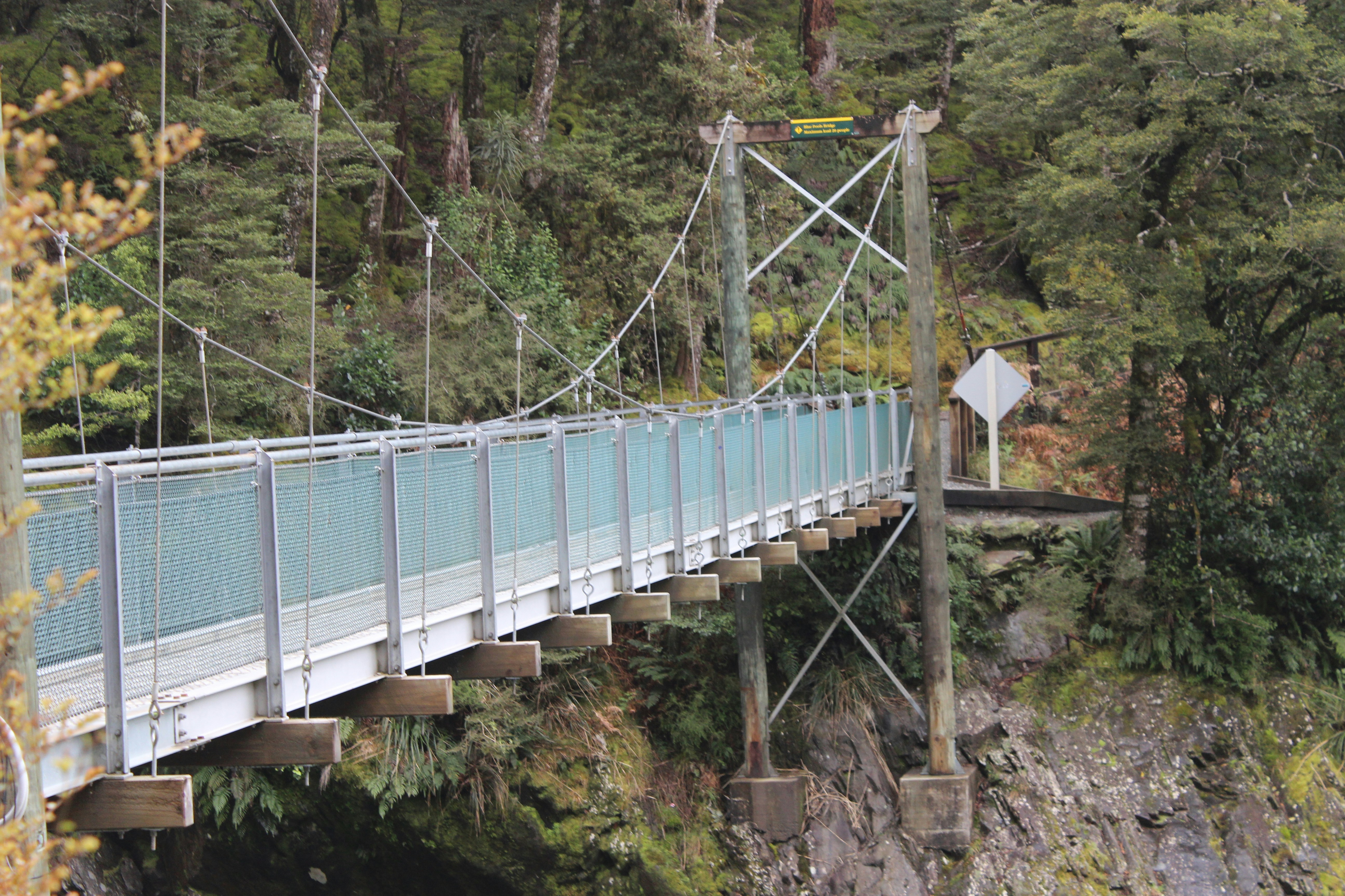 Bridge to the forested valley: a suspended walkway over timber supports