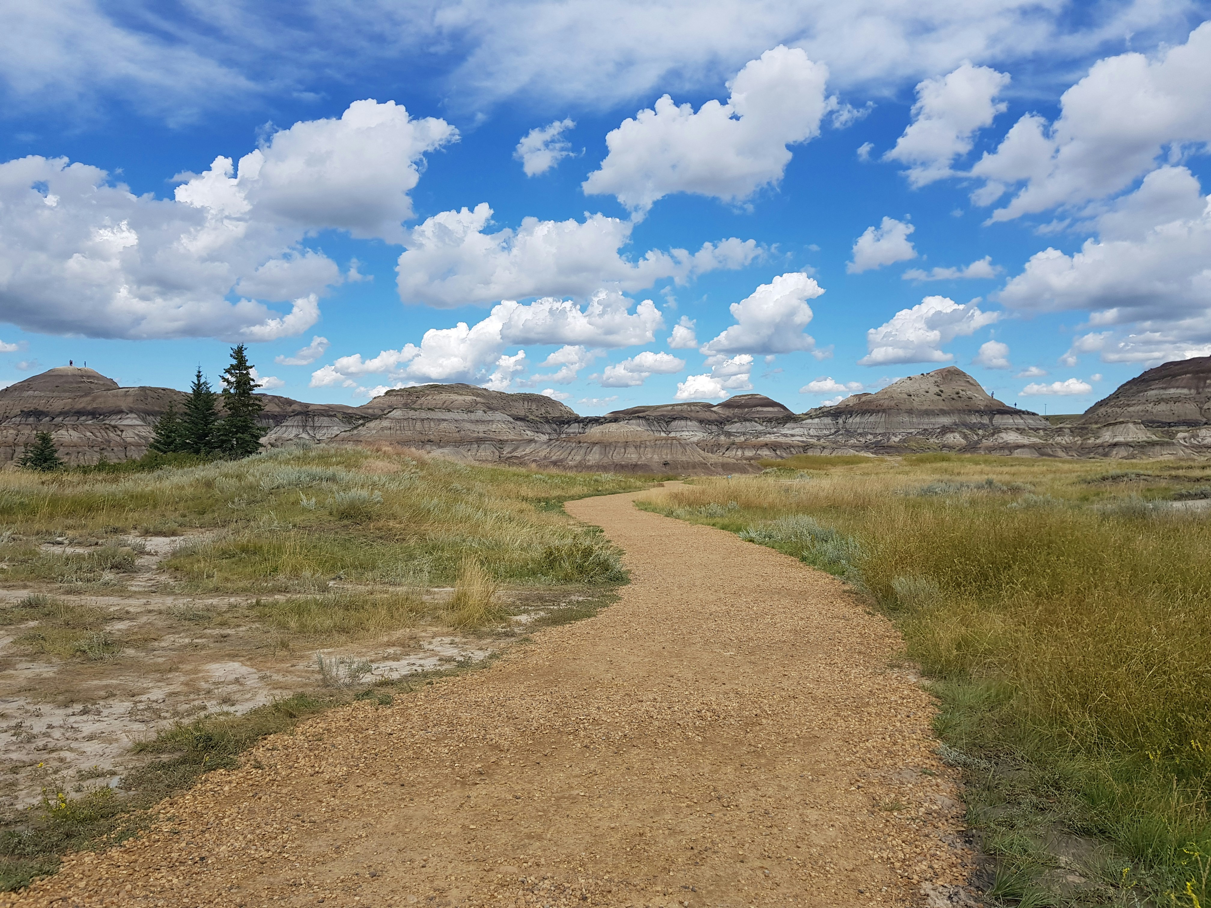 Trail Through Tinted Badlands: A Path to Wide Skies