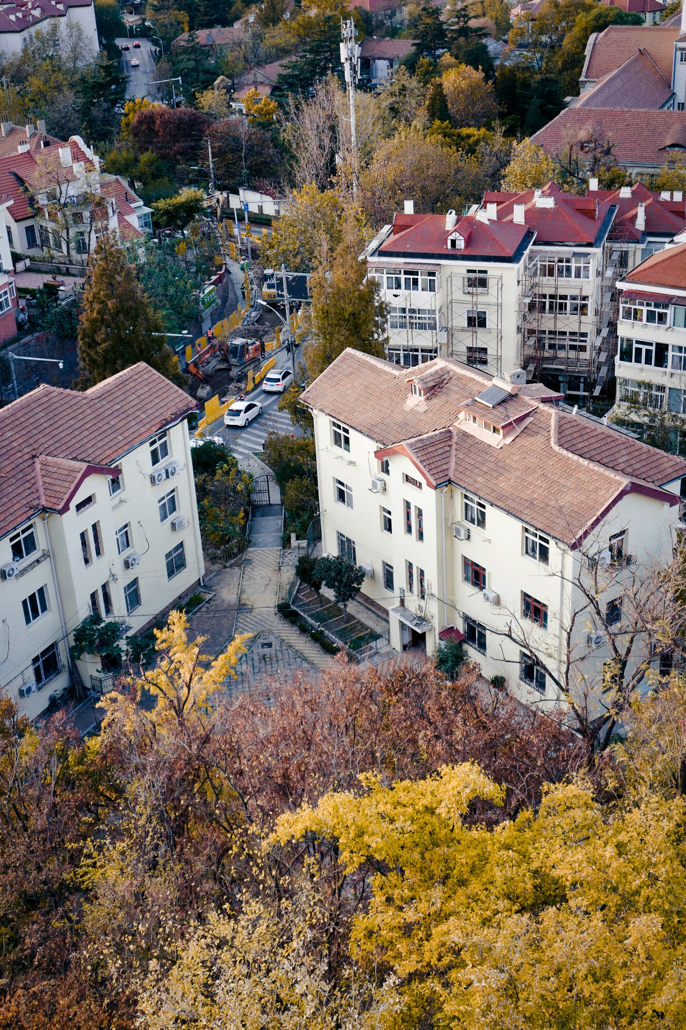 Aerial view of residential buildings surrounded by vibrant autumn foliage, illustrating the harmony between nature and urban life.