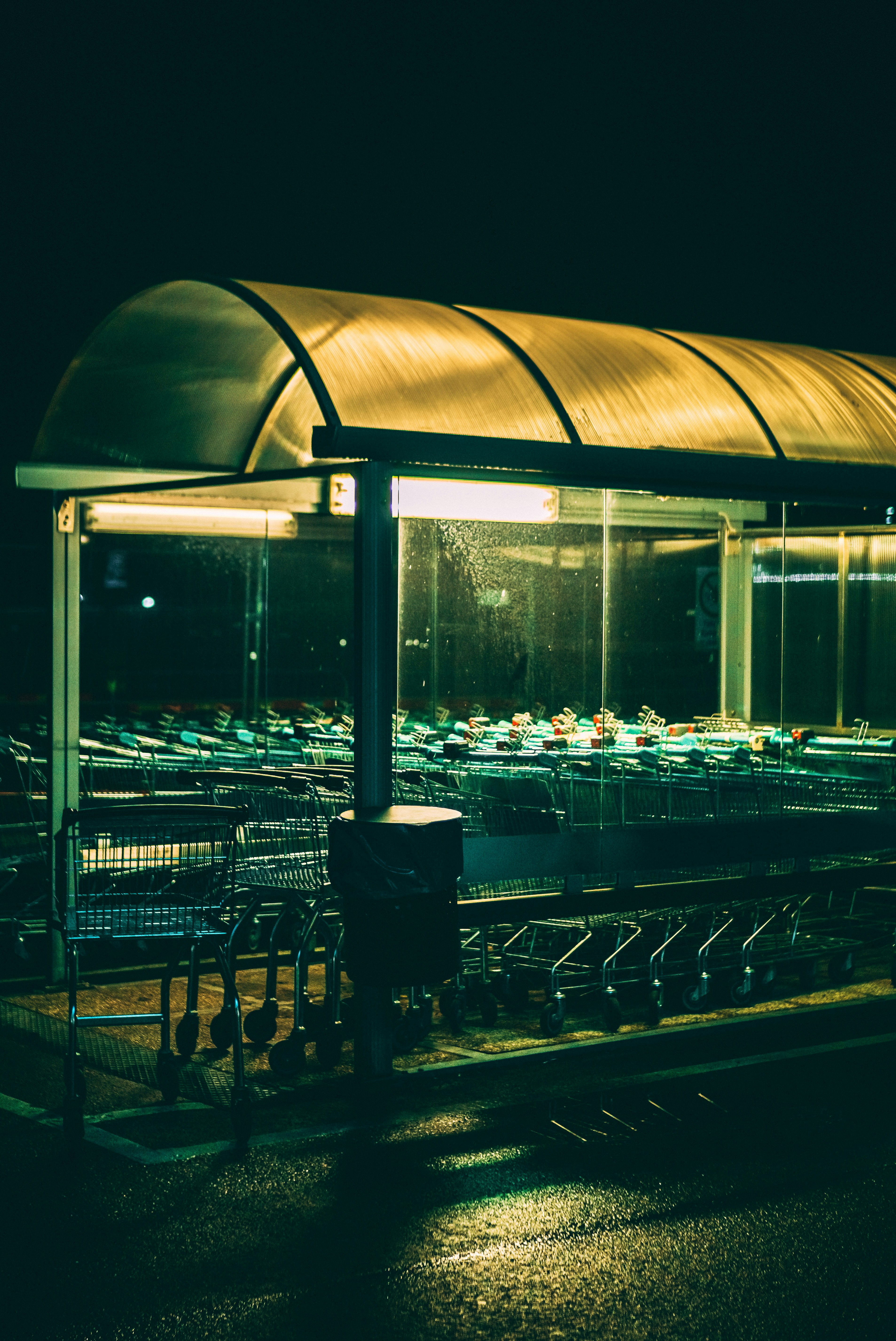 Neon Teal Night at the Glass Canopy