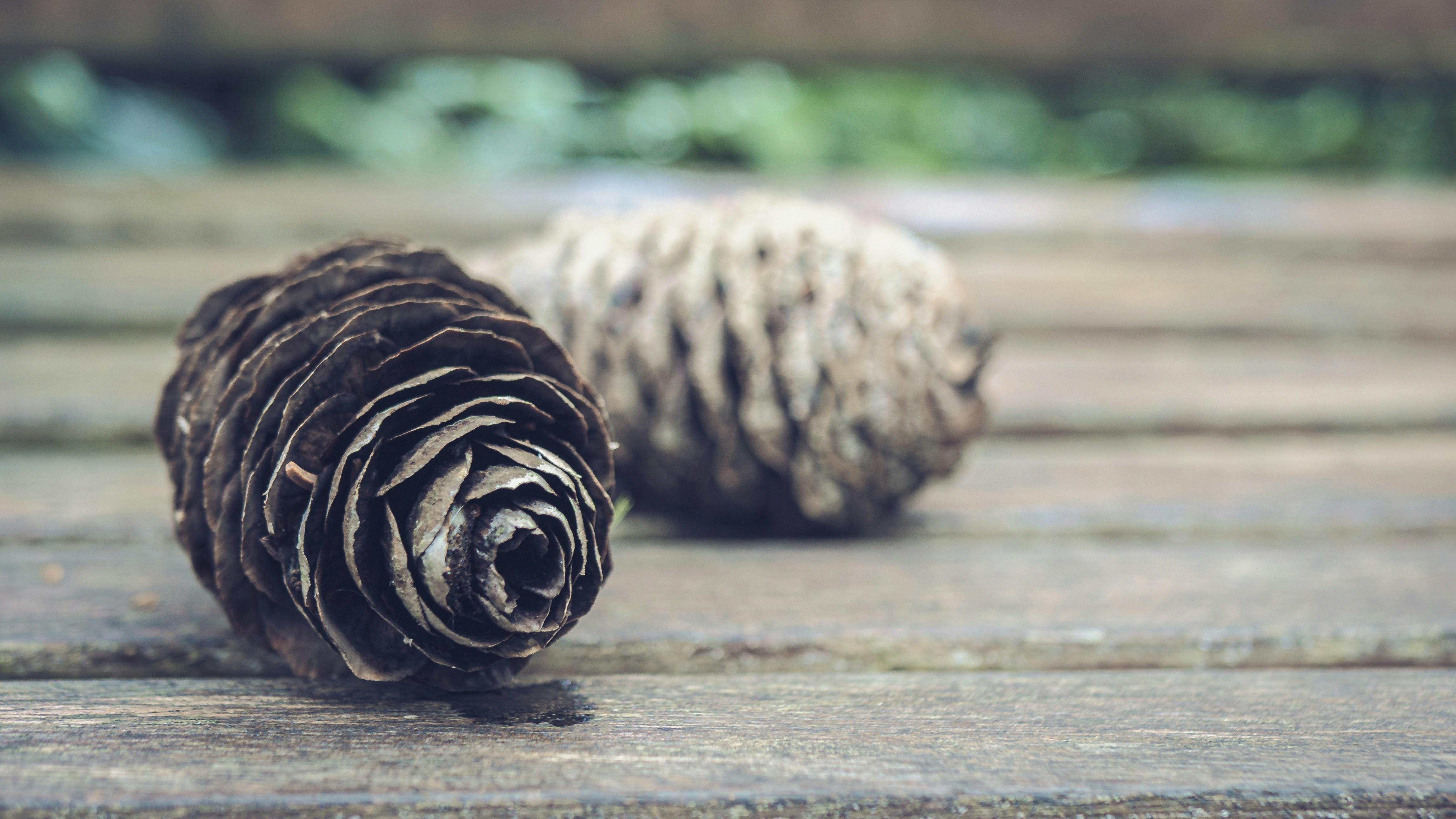 Sample photo from Panasonic Lumix G80