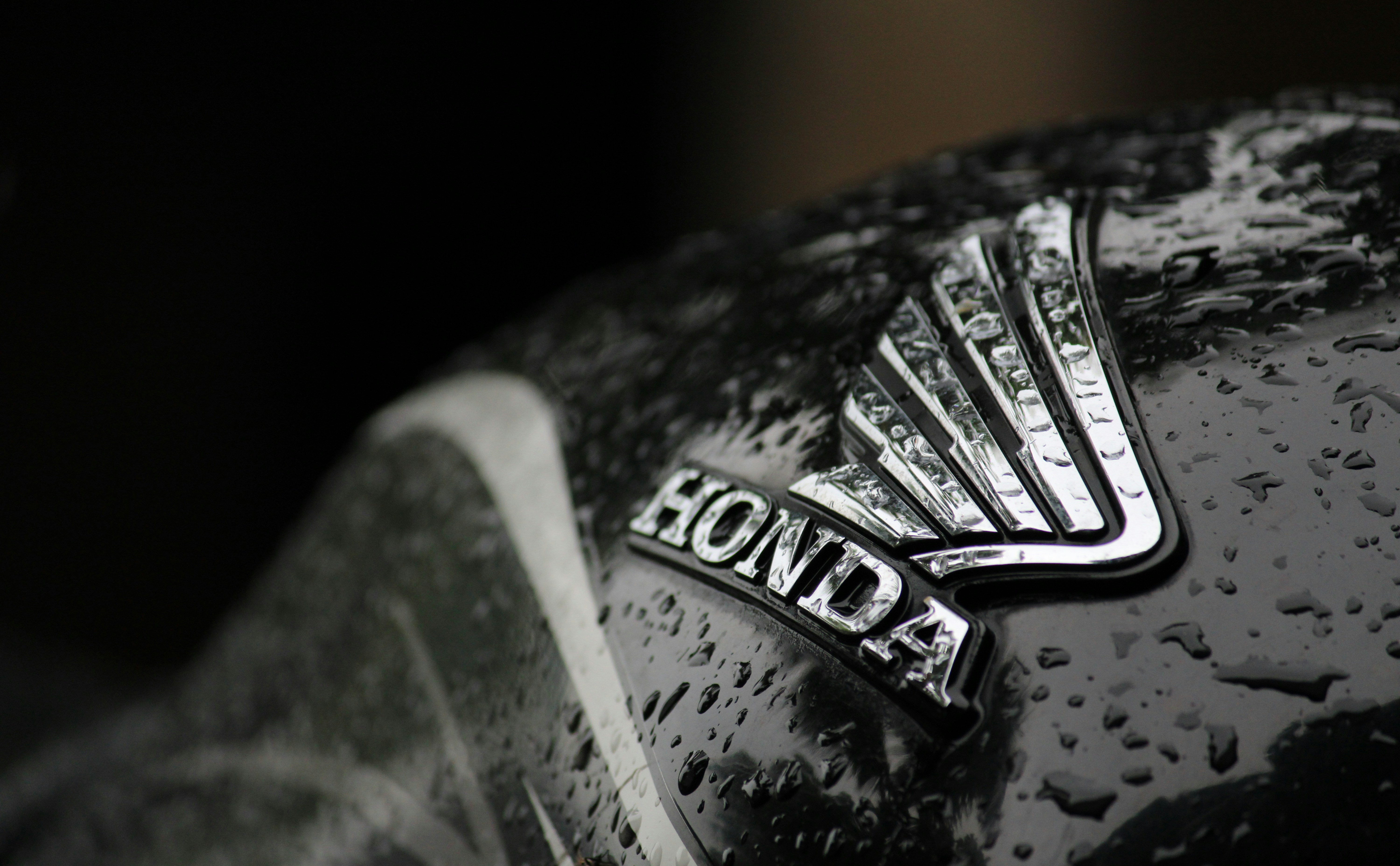 sushant sodanwar (@sushant_m_s) | Unsplash Photo Community