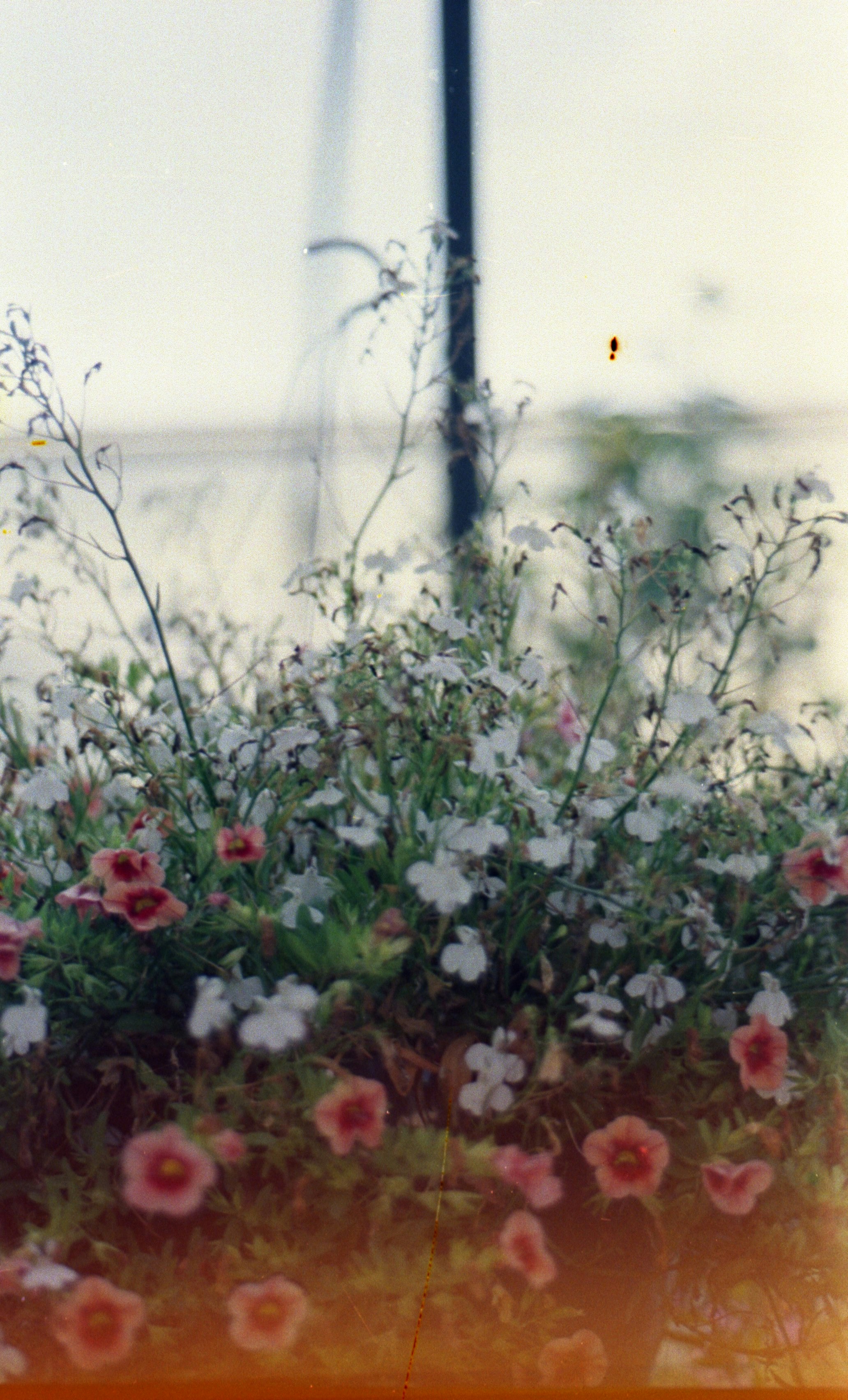 Alex Kovalenko (@alexkovalenko) | Unsplash Photo Community