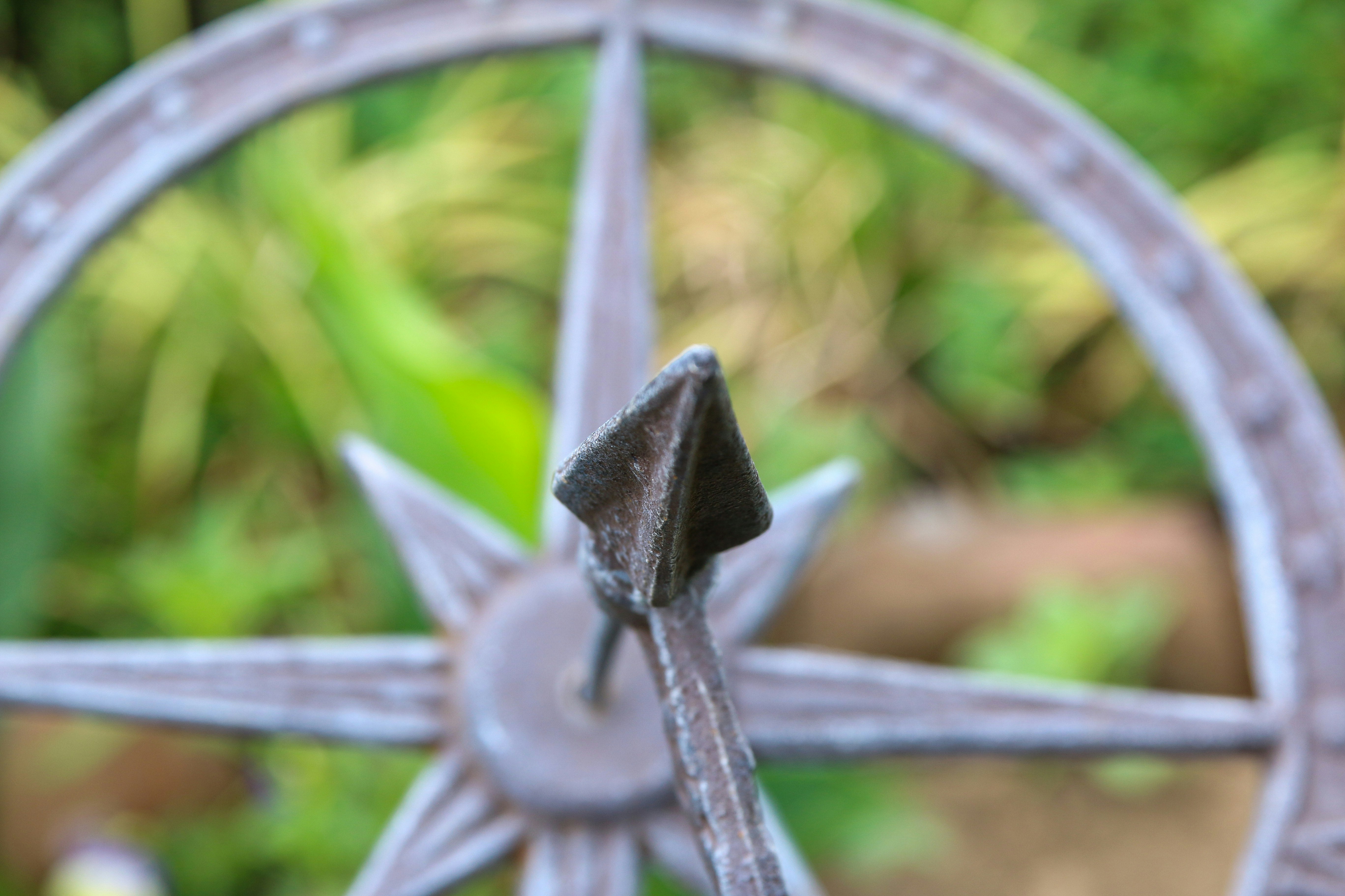 Frost-Crowned Spike Framed by a Rusted Wheel