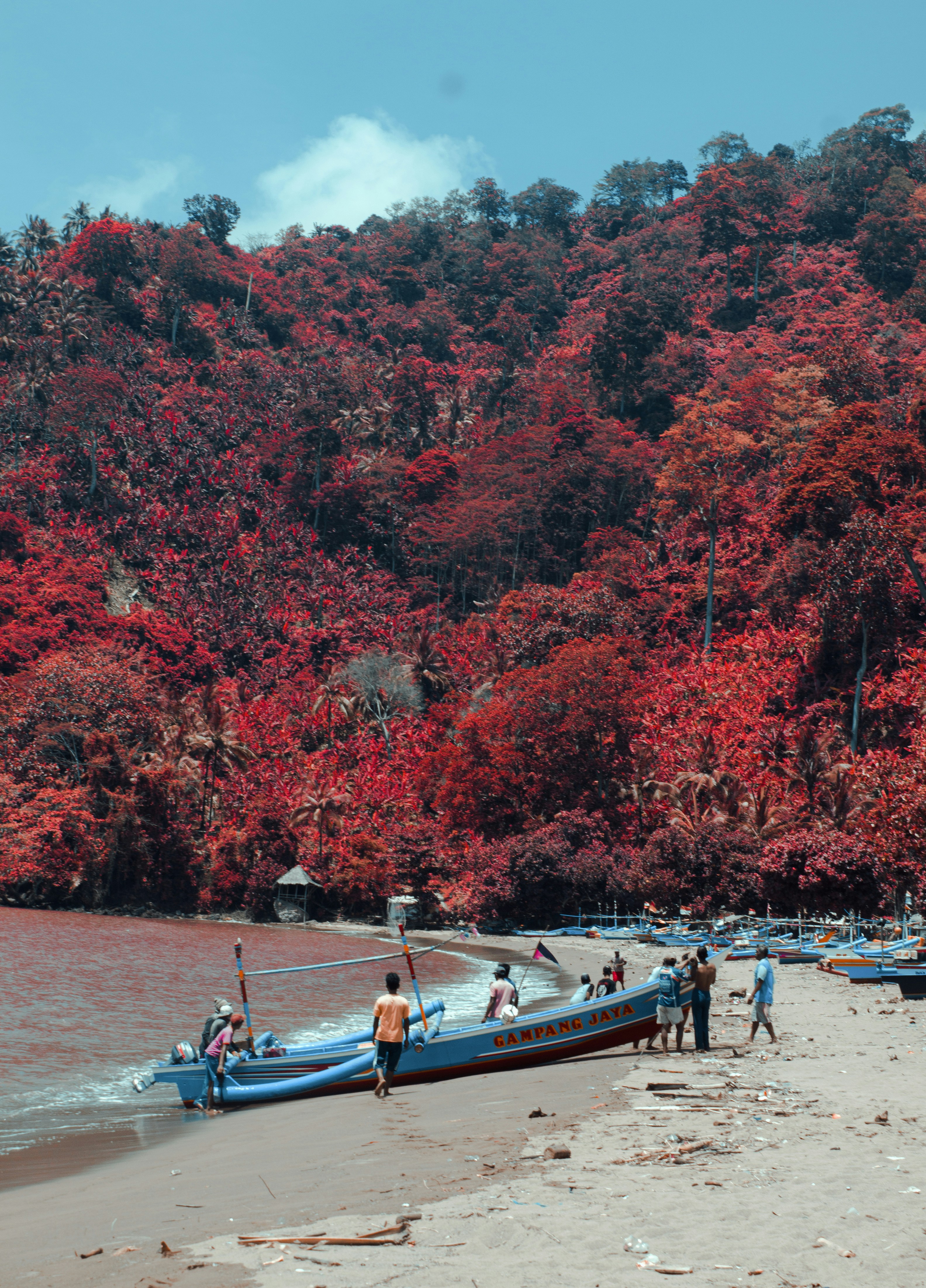 A Vibrant Dance of Nature and Humanity