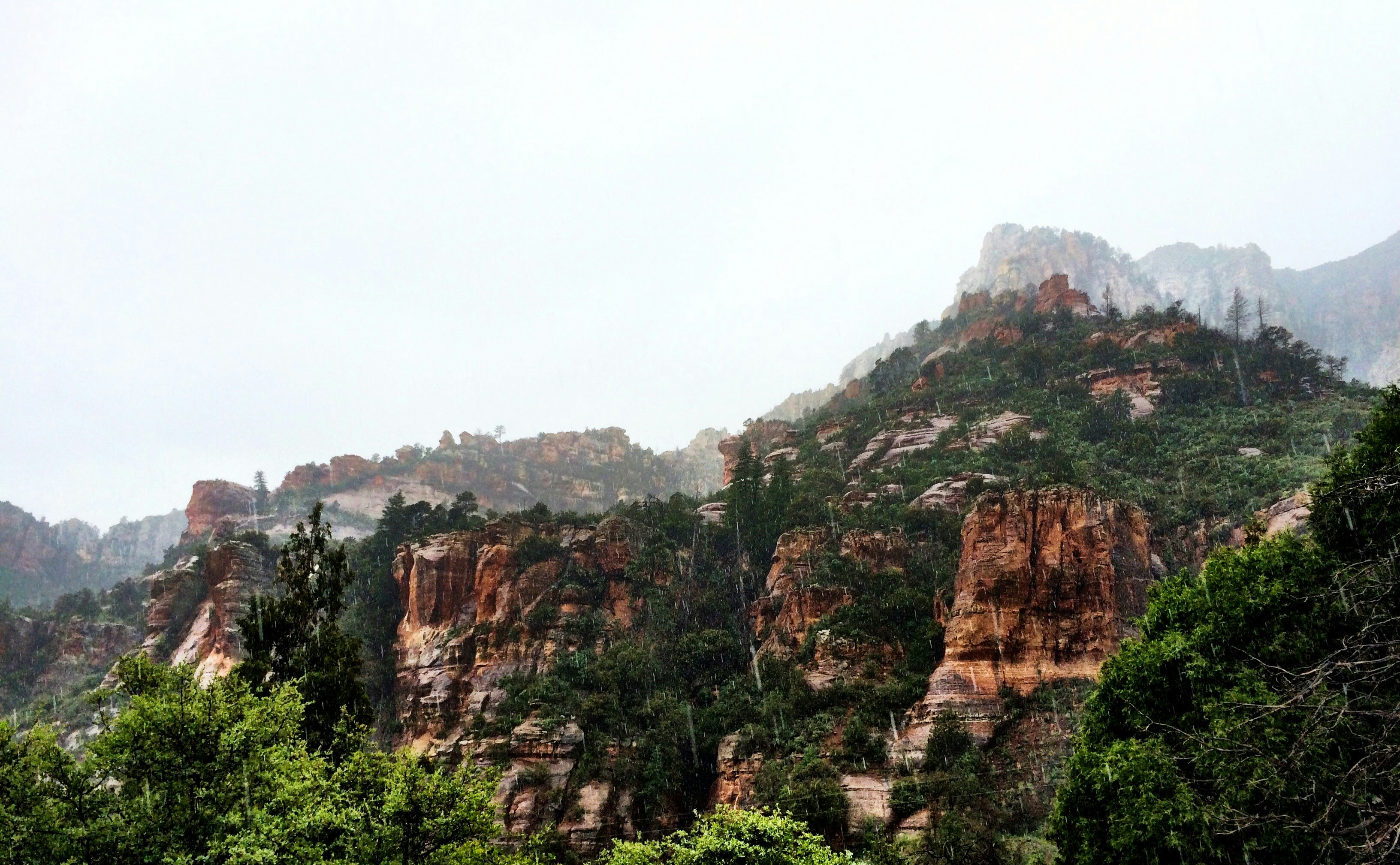 brown rocky mountain with green trees during daytime