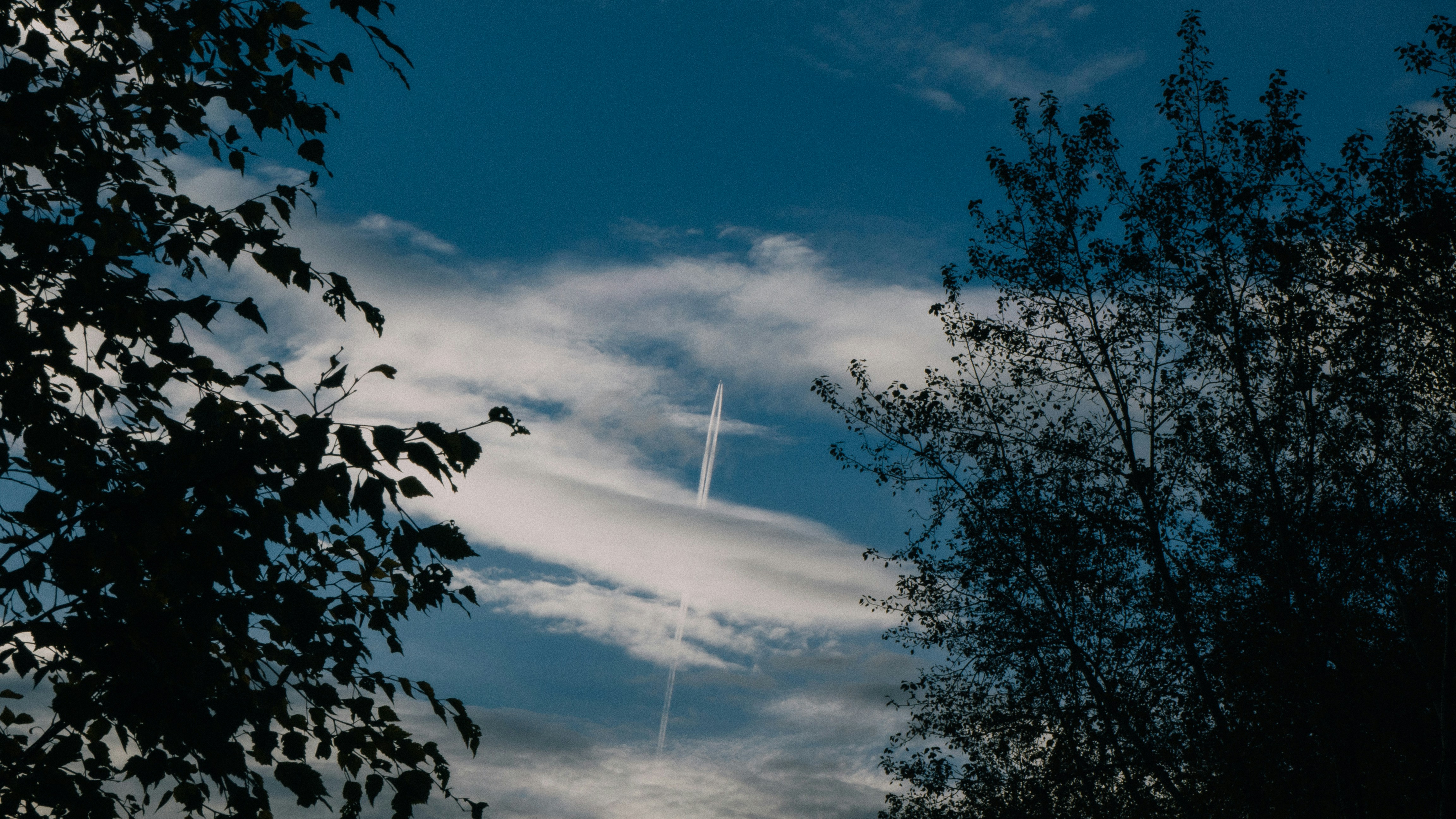 Contrail slicing through a blue sky, framed by silhouetted trees on either side. A serene moment capturing the intersection of nature and human activity.