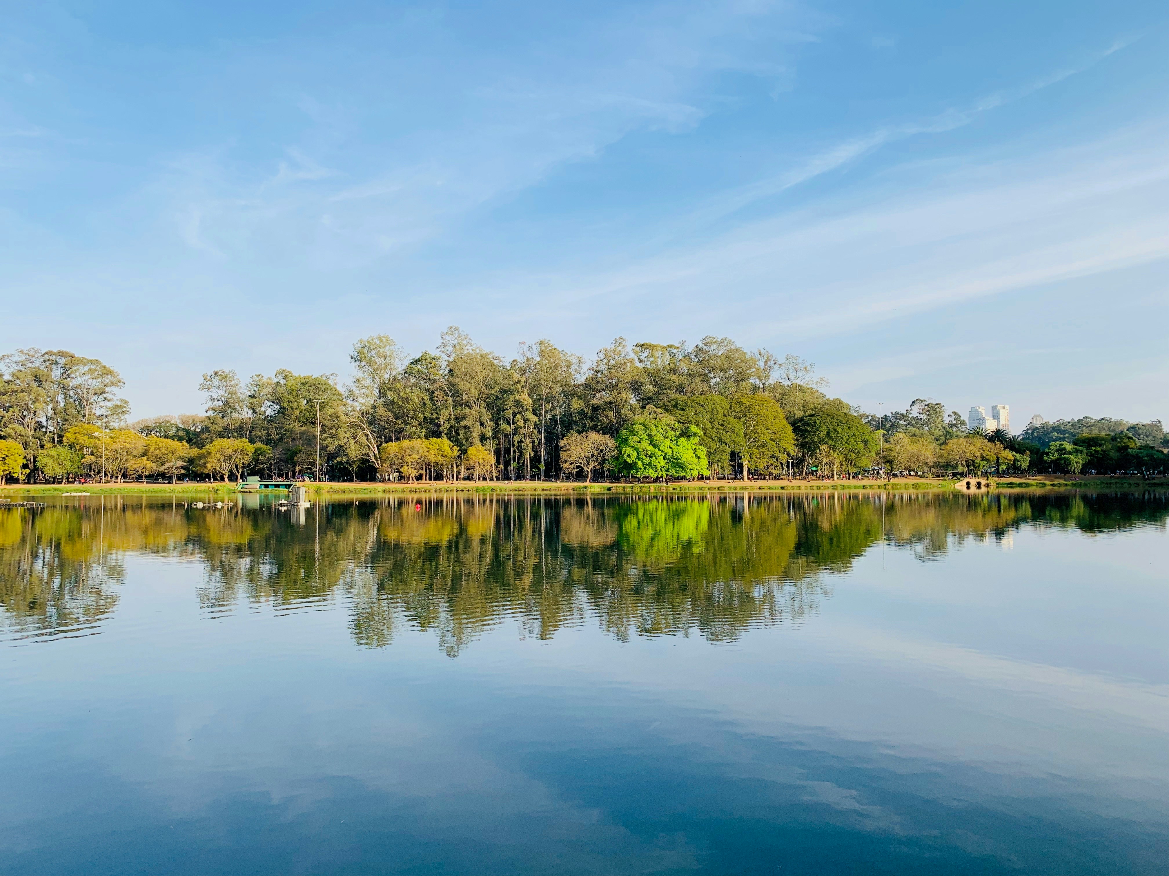 Lush green trees mirrored perfectly in a tranquil lake under a clear blue sky.